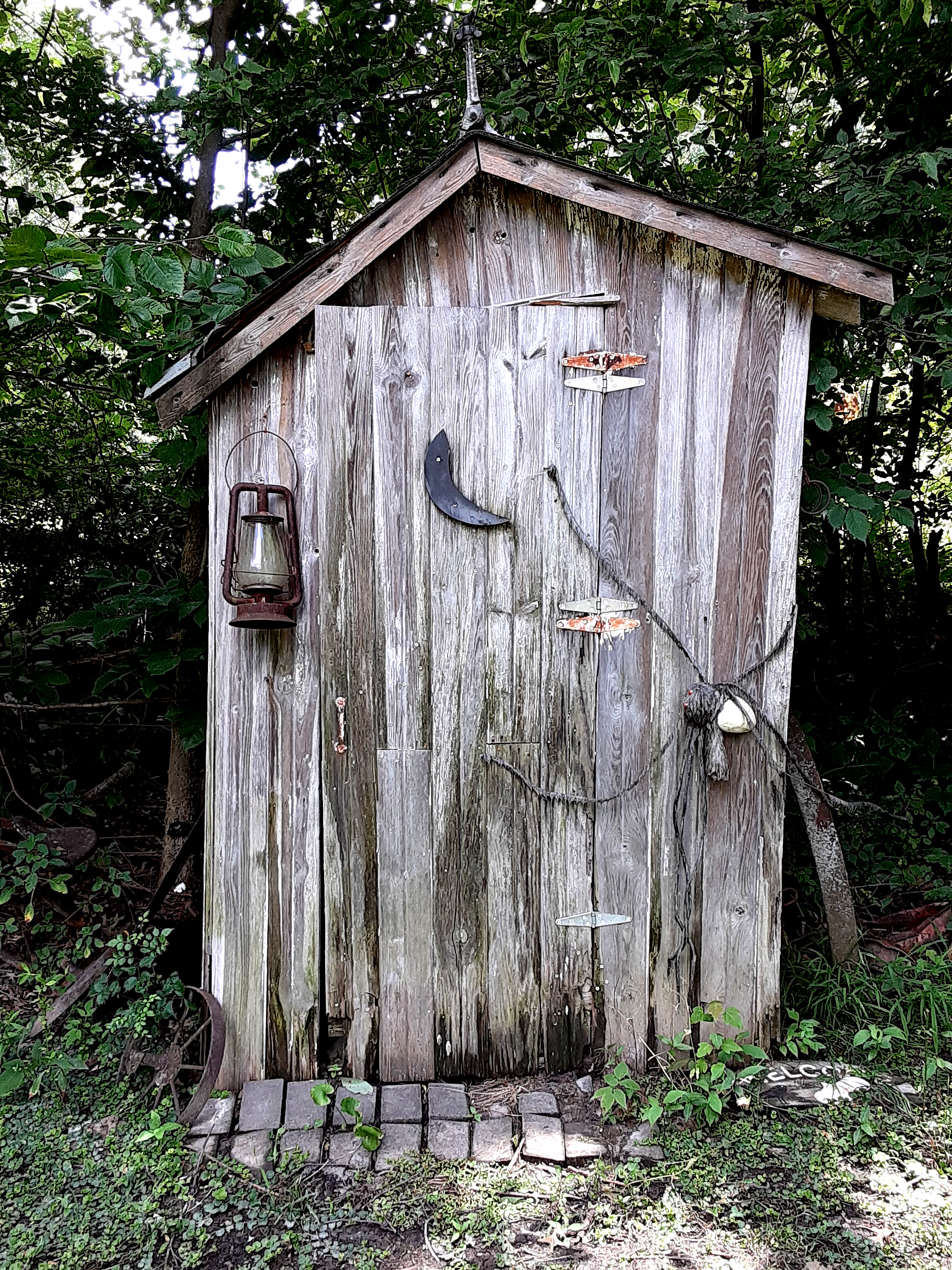 Rustic Wooden Outhouse in Lush Forest Setting · Free Stock Photo