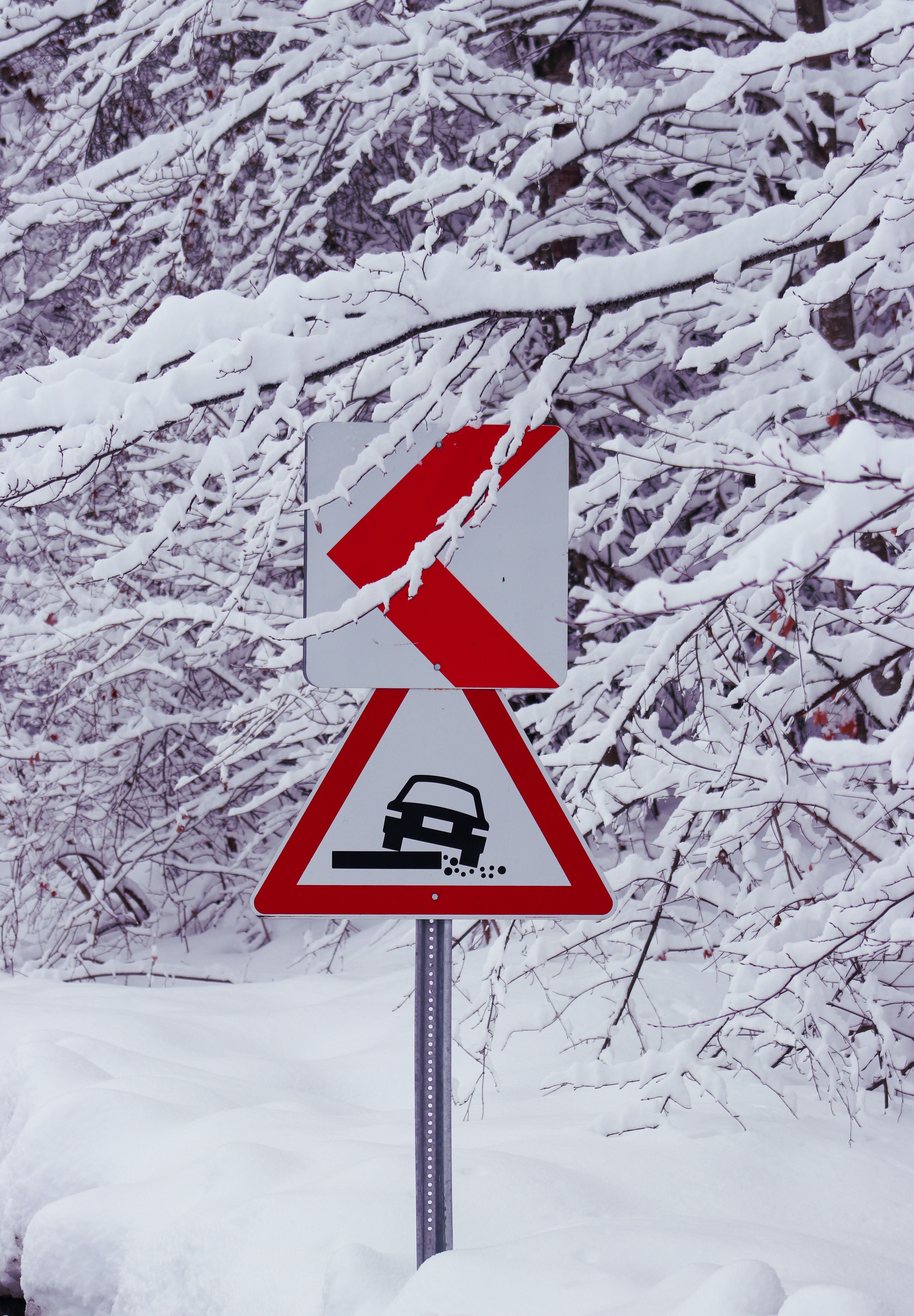 Winter Road Warning Sign in Snowy Forest · Free Stock Photo