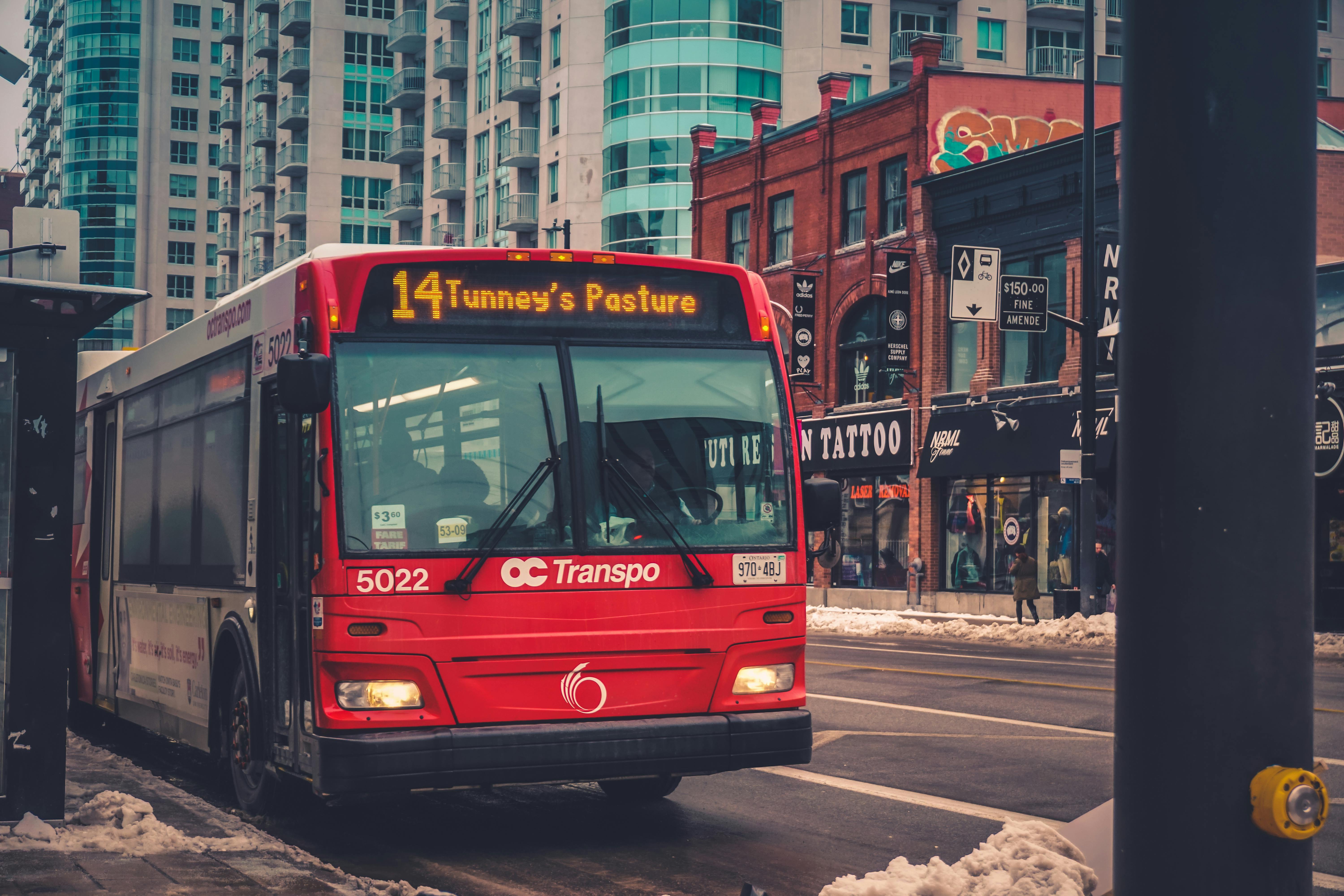 Free stock photo of building, bus, canada