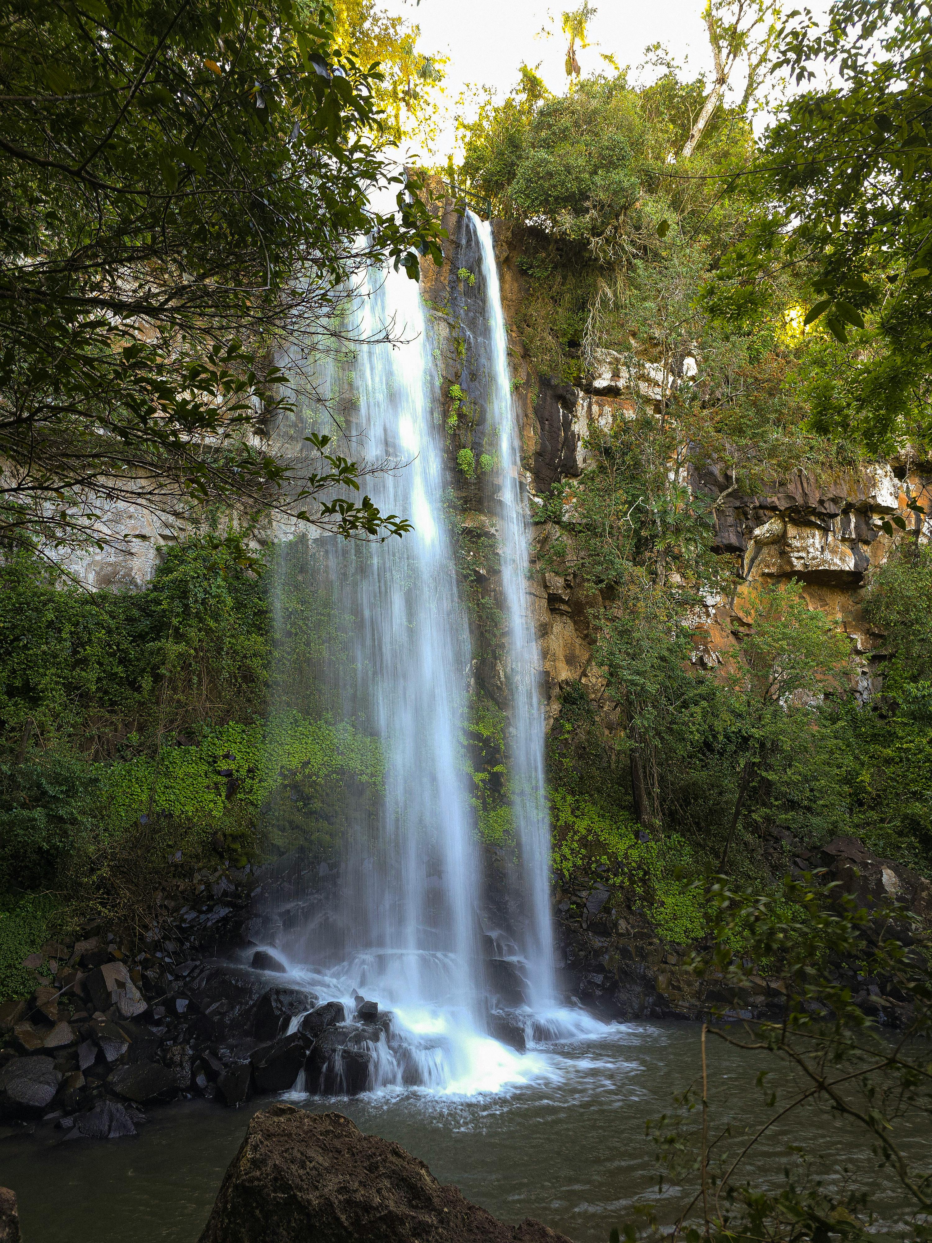 Clean Water River Fresh Water Nature Green Environment Photos, Download ...