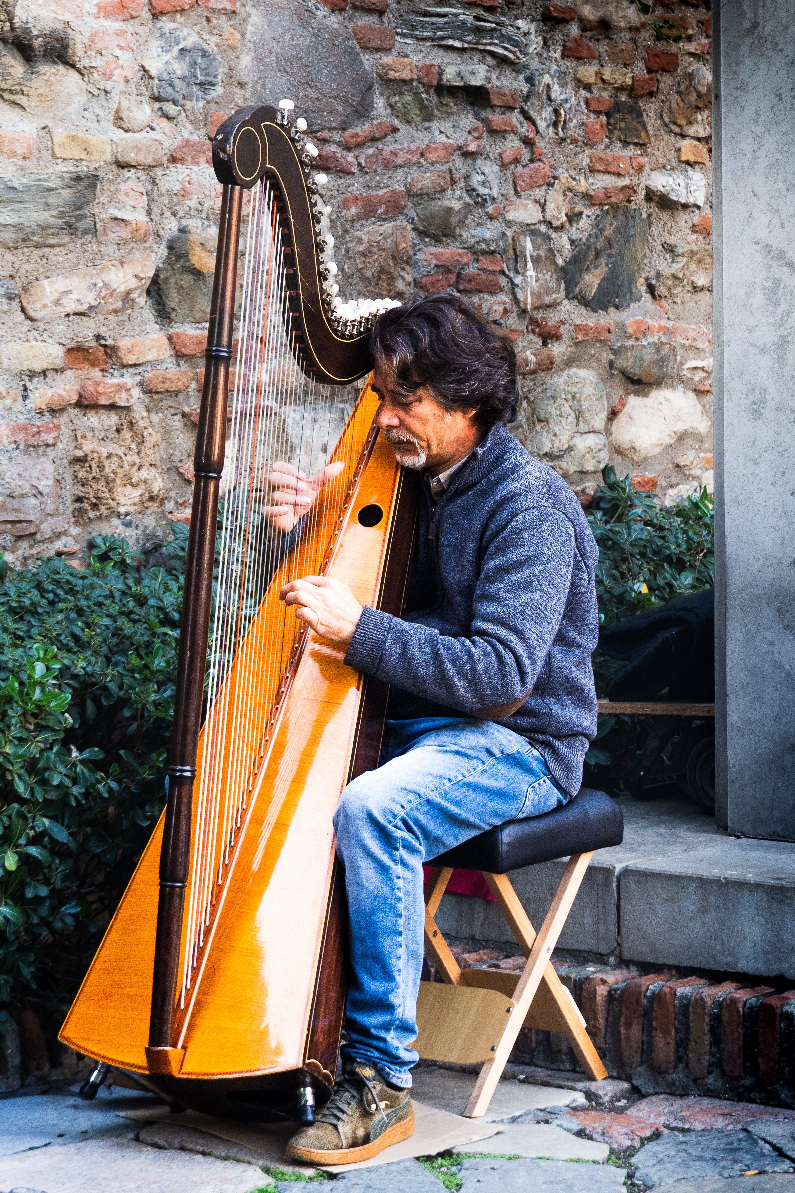 Musicien De Rue Jouant De La Harpe En Plein Air · Photo gratuite