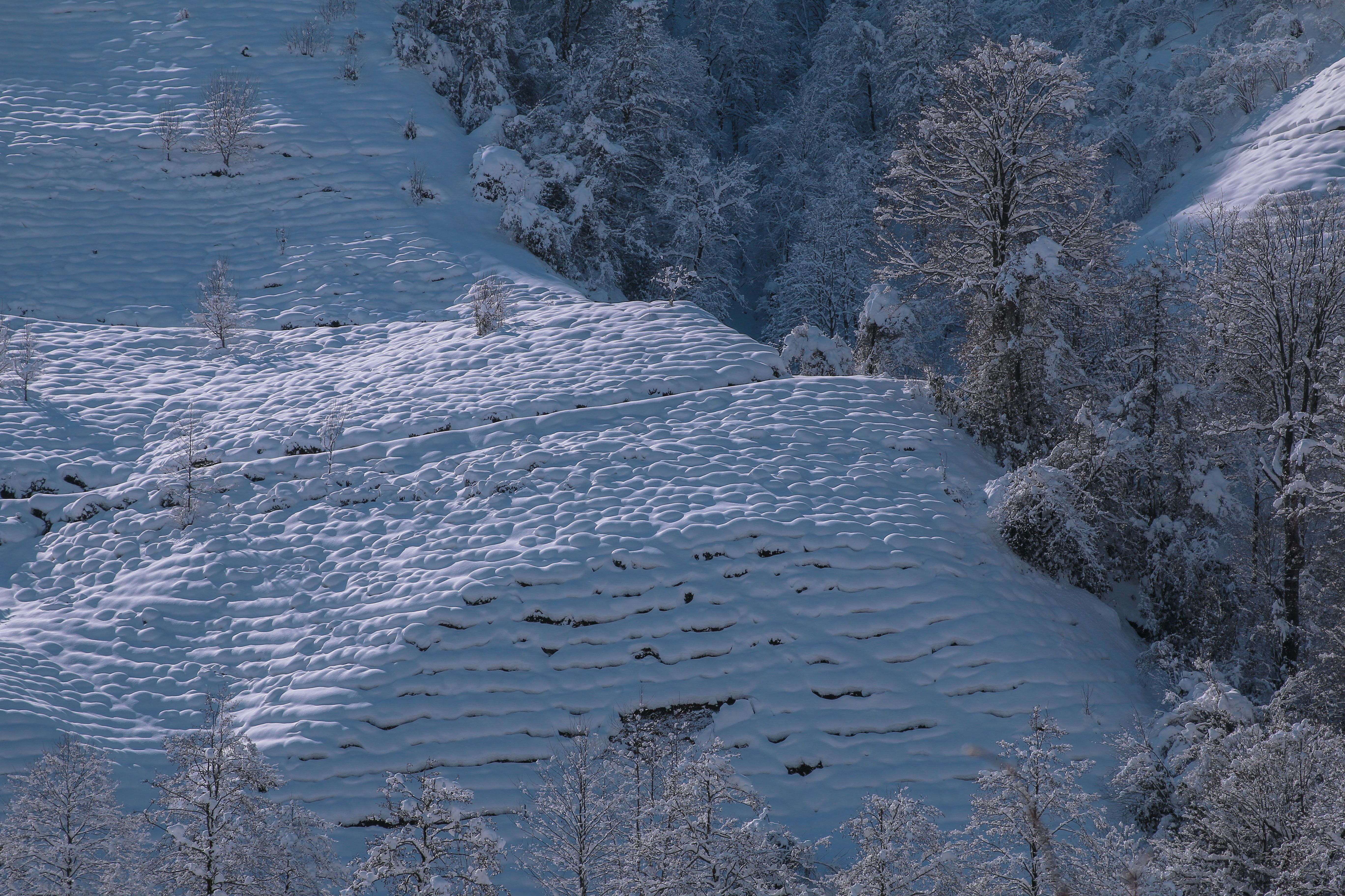 Frozen Terrace Photos, Download The BEST Free Frozen Terrace Stock ...