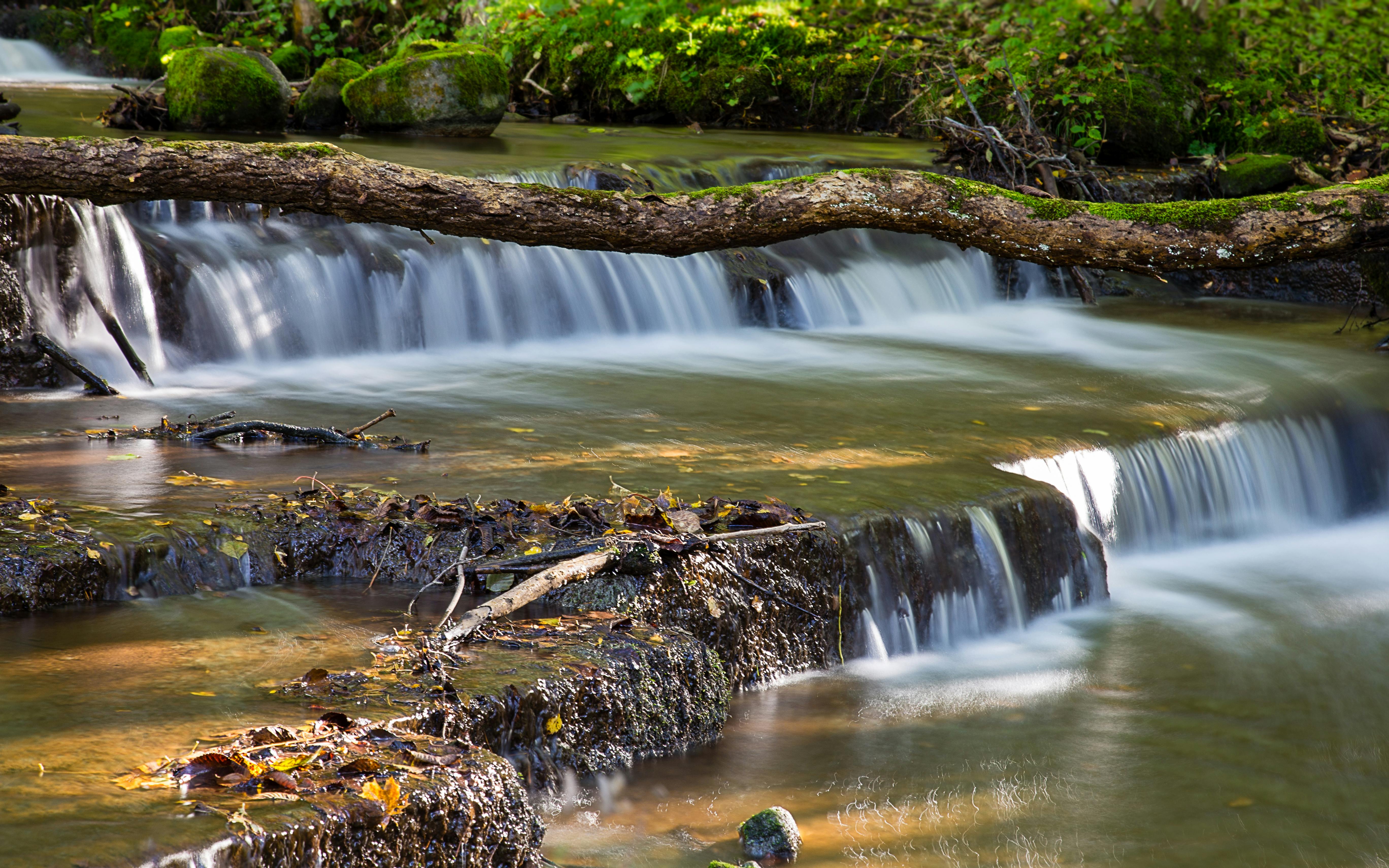 Free stock photo of forest, long exposure, nature