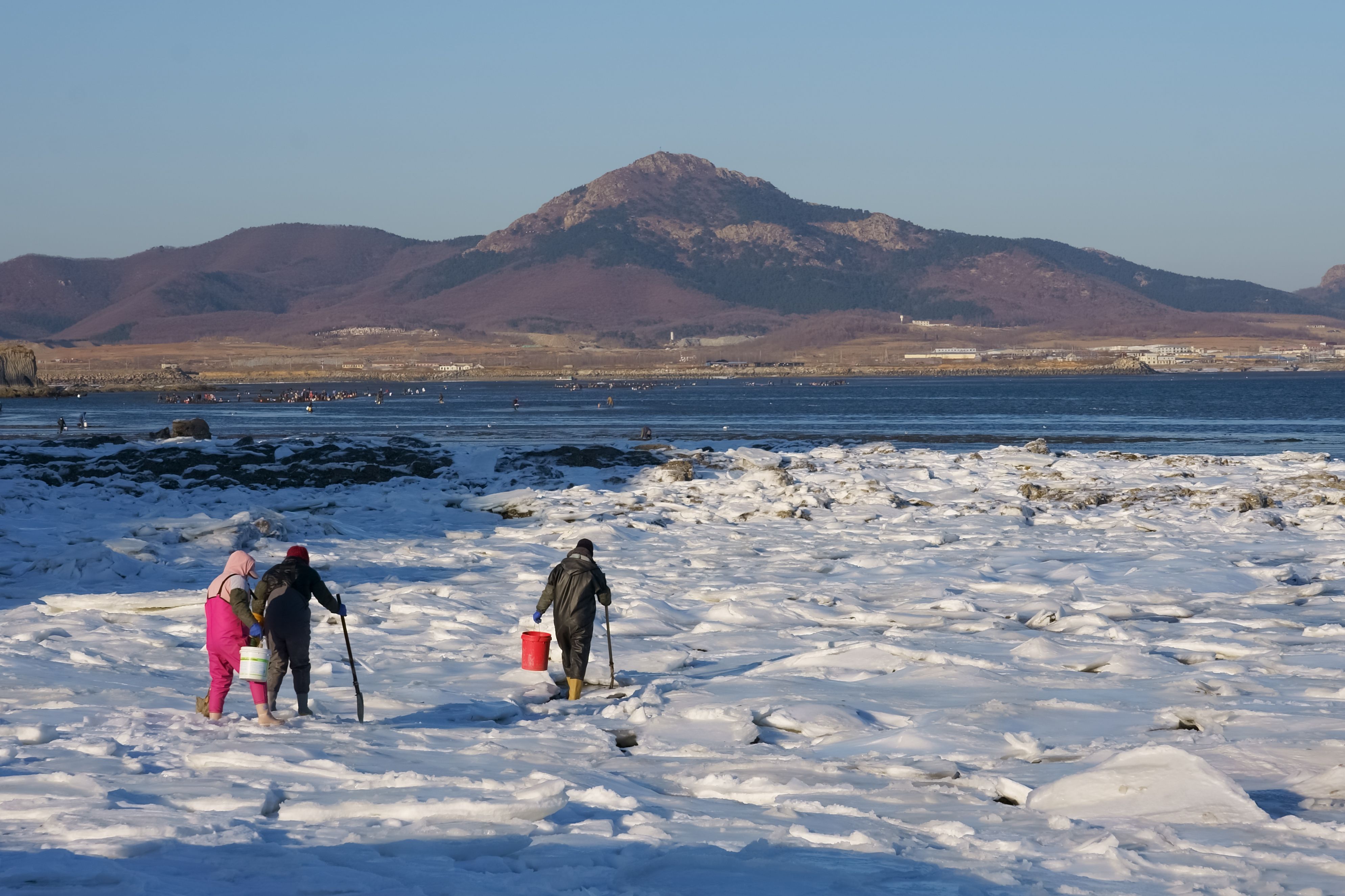 Frozen Shore Clam Harvesting in Dalian · Free Stock Photo