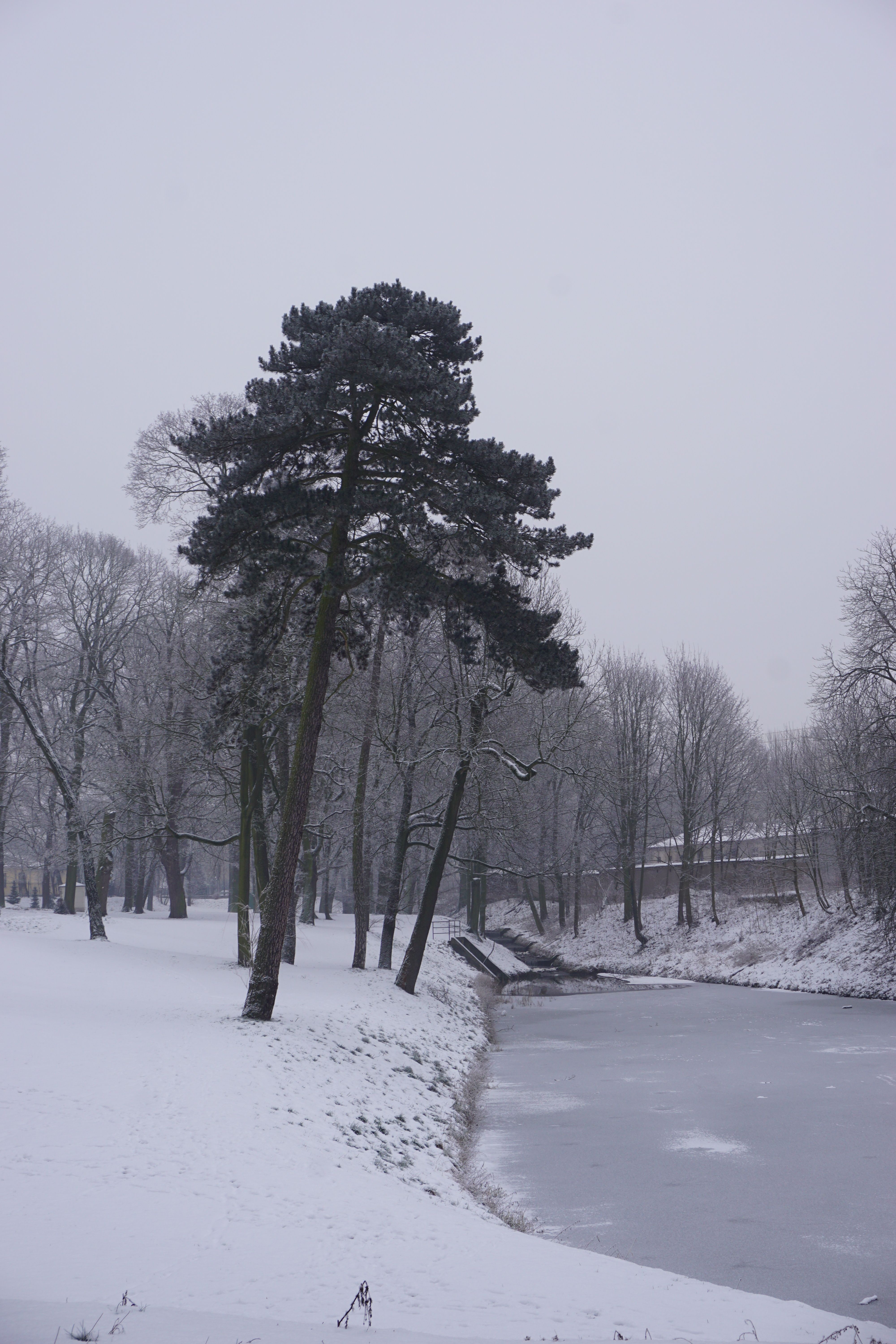 Winter Landscape With Snow Photos, Download The BEST Free Winter ...