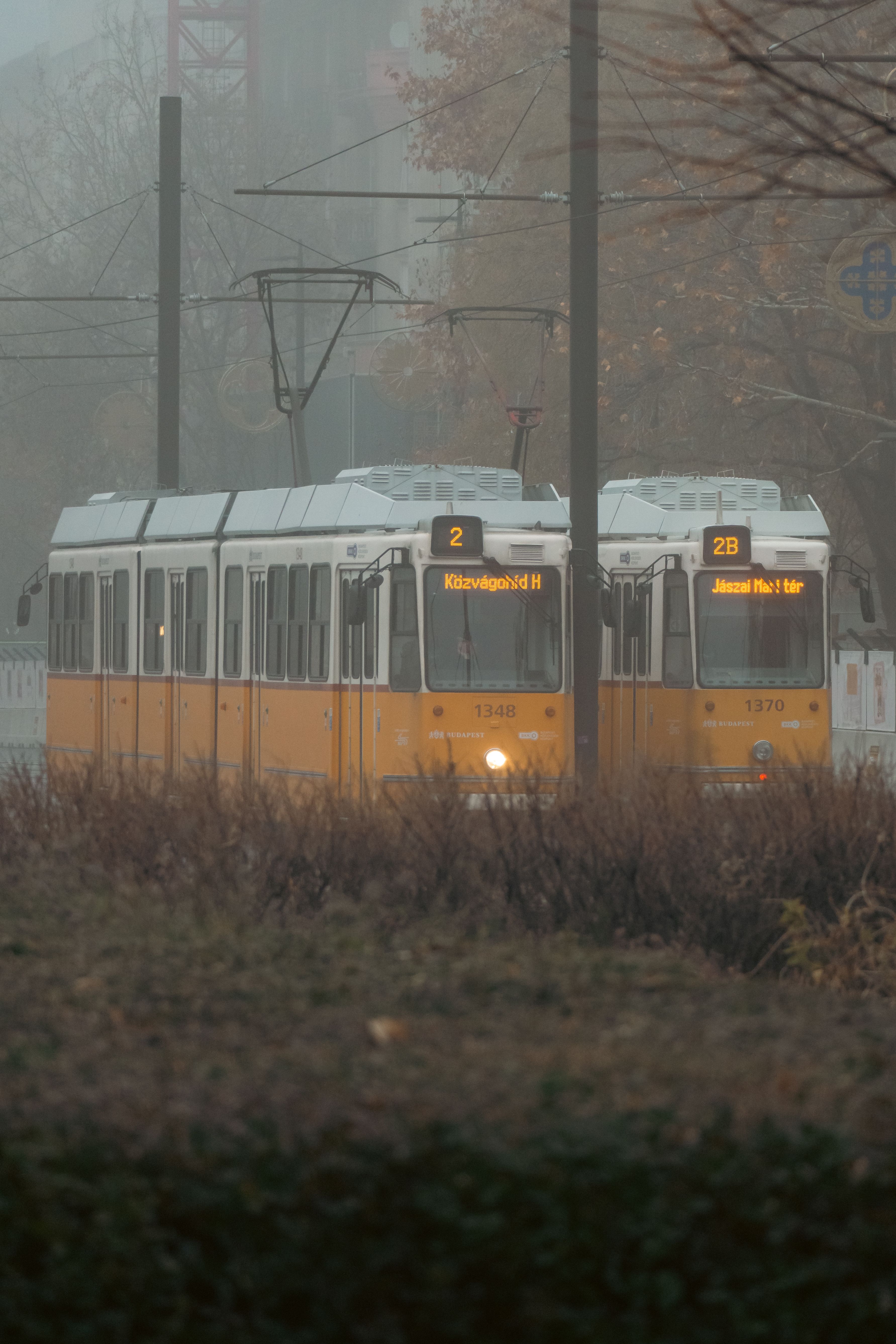 Yellow Trams in Foggy Urban Setting · Free Stock Photo