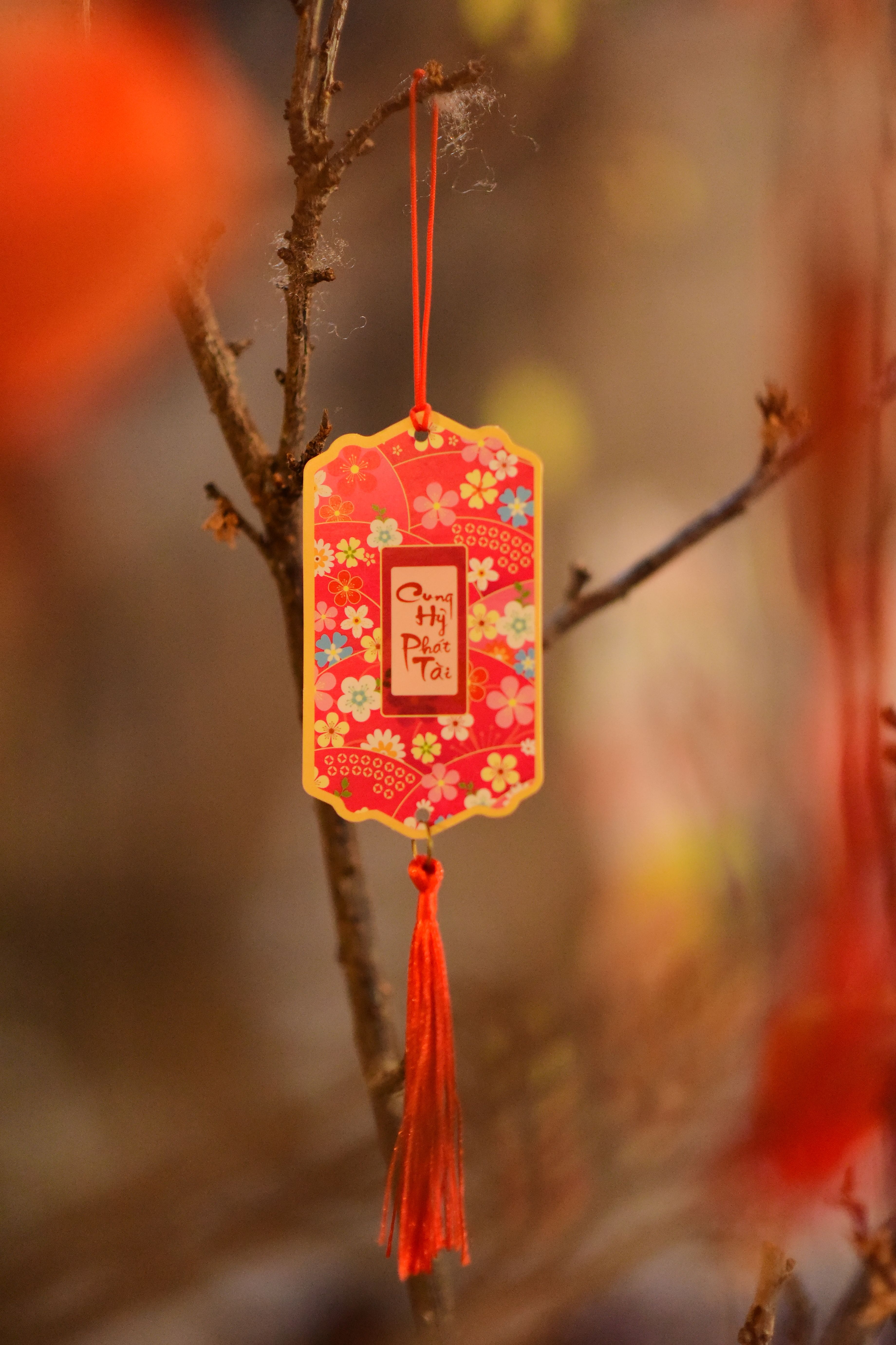 Traditional Vietnamese Tet Decoration on Branch · Free Stock Photo