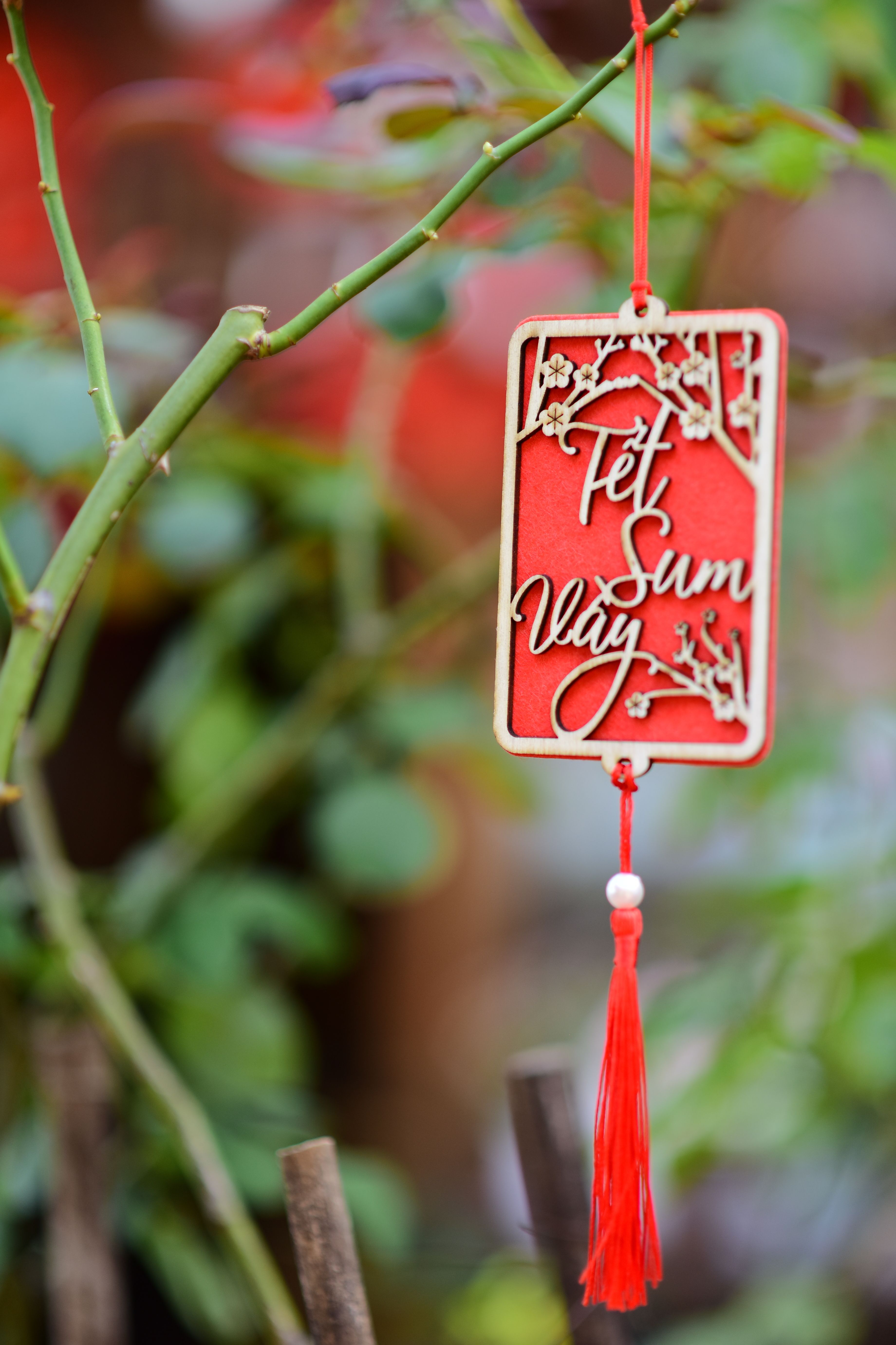 Colorful Tet Decoration on Tree Branch · Free Stock Photo