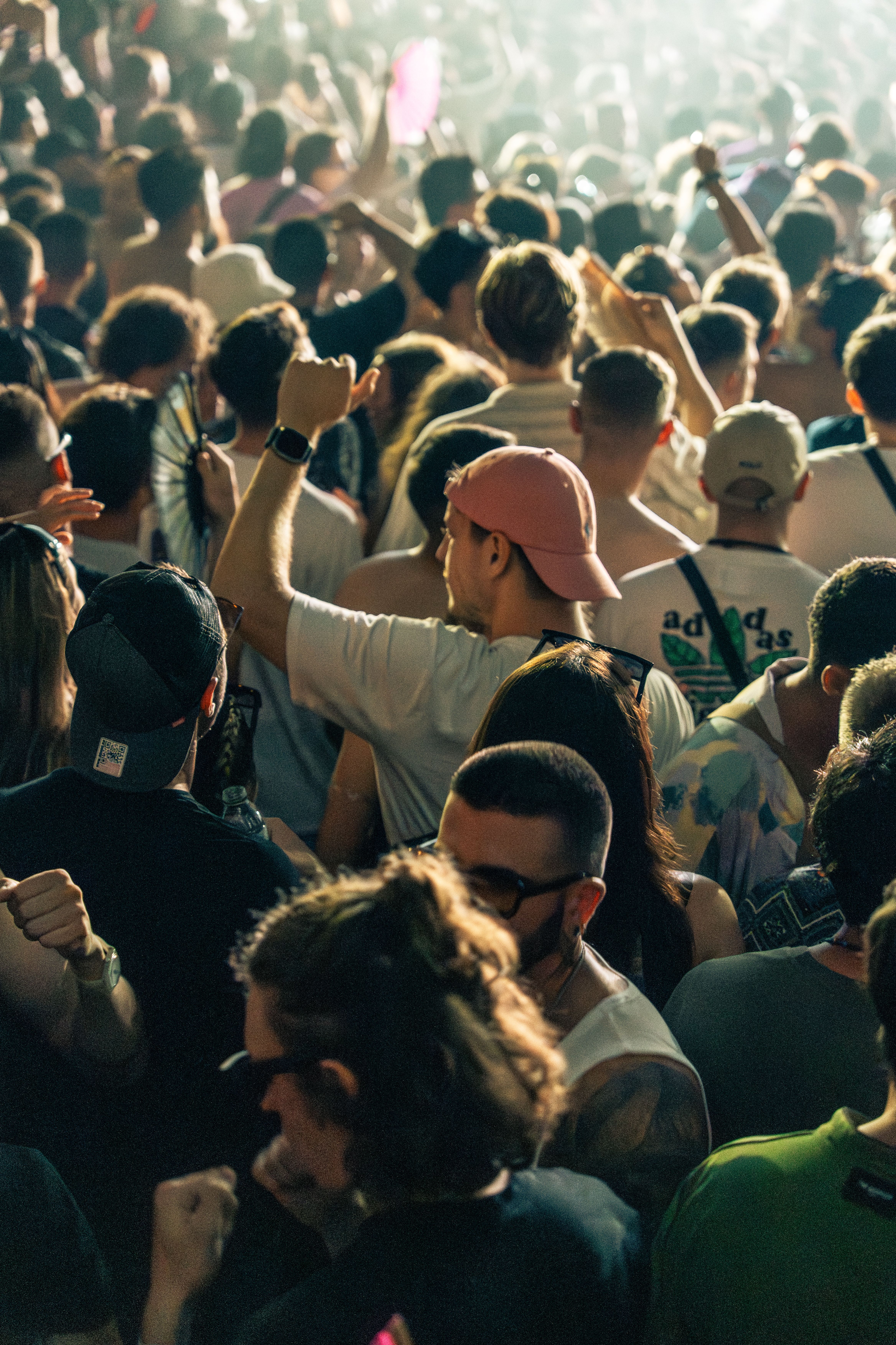 Energetic Crowd Enjoying a Music Festival · Free Stock Photo