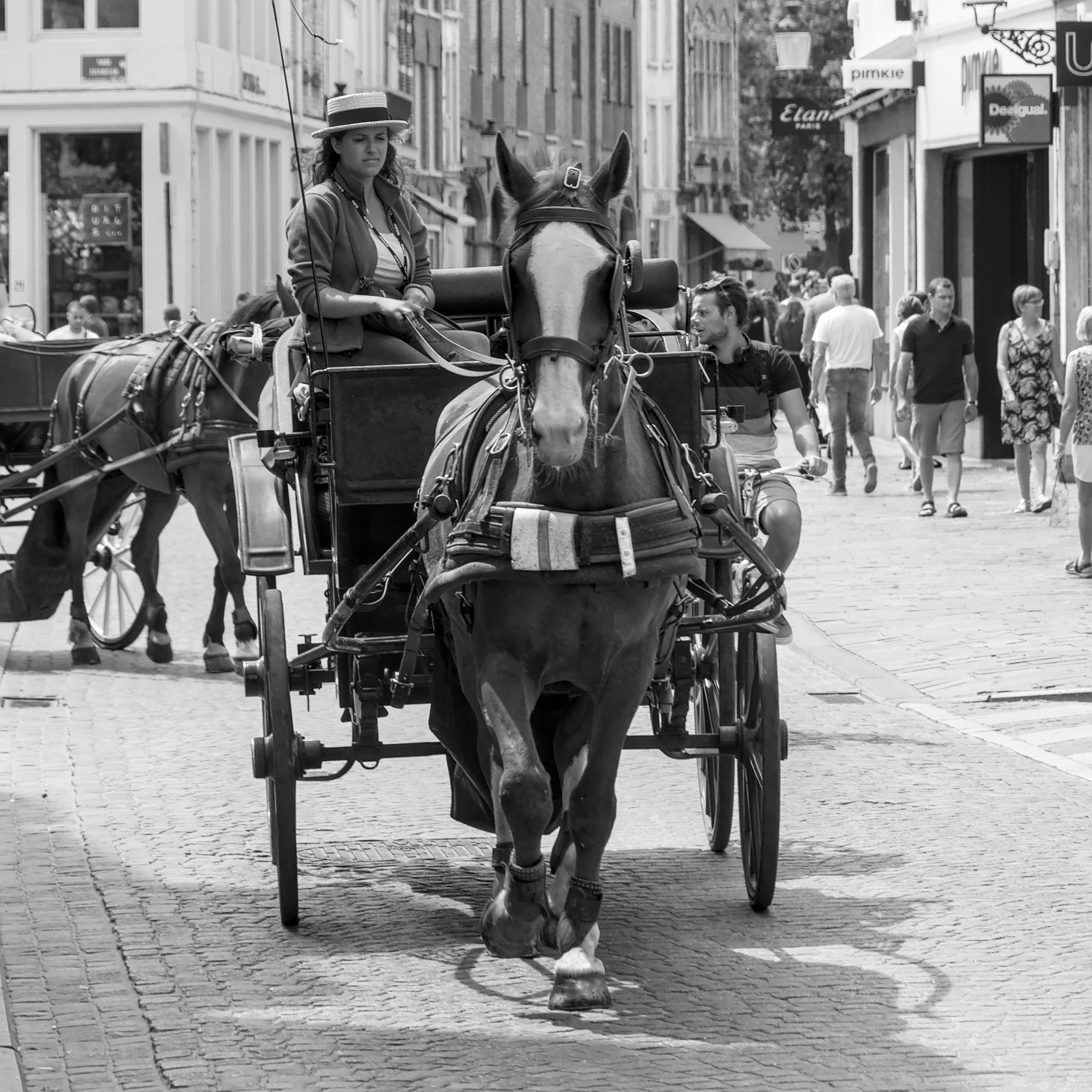 Monochrome Photo of Man in Carriage · Free Stock Photo