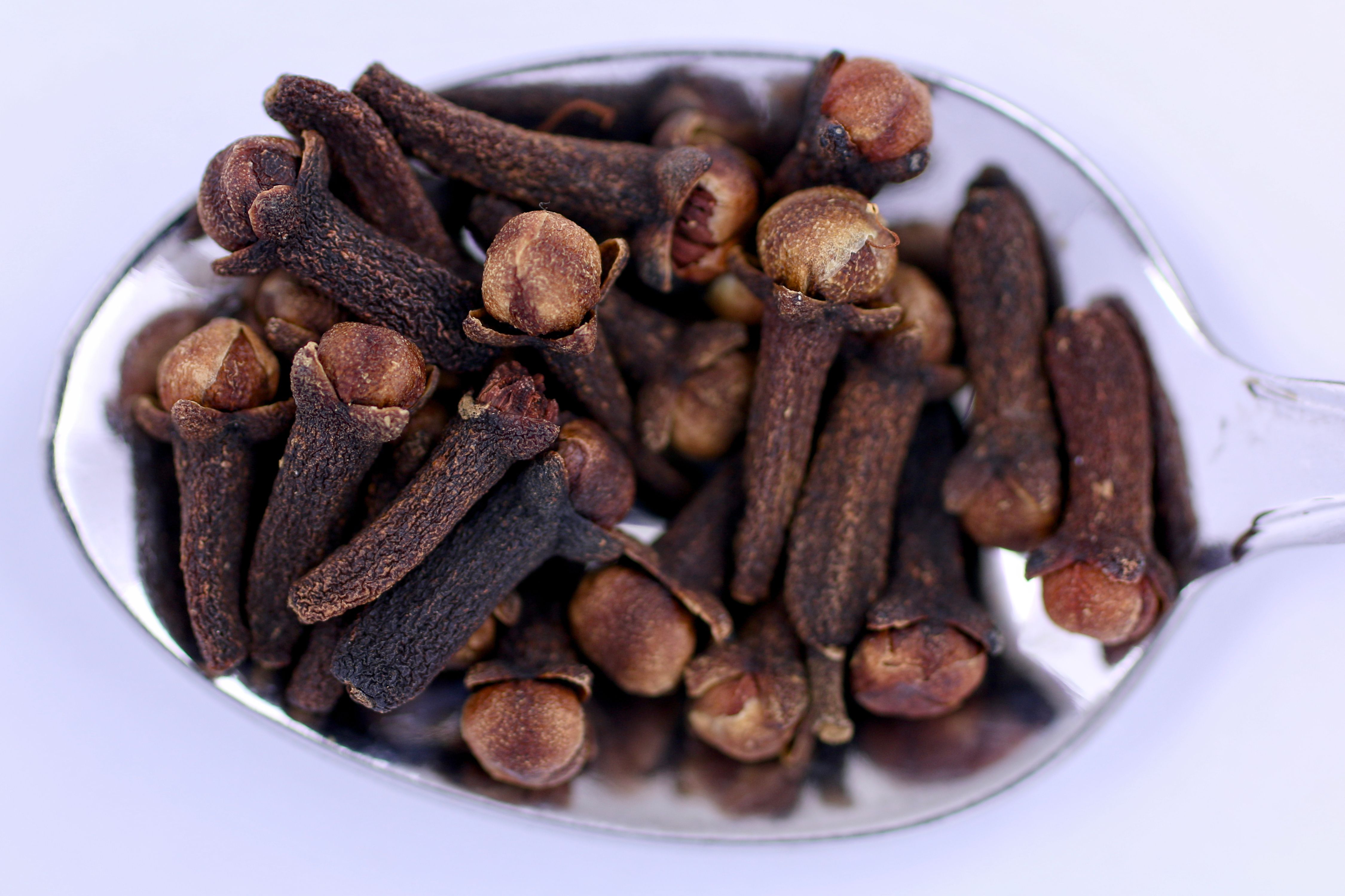 Cloves Photos, Download The BEST Free Cloves Stock Photos & HD Images