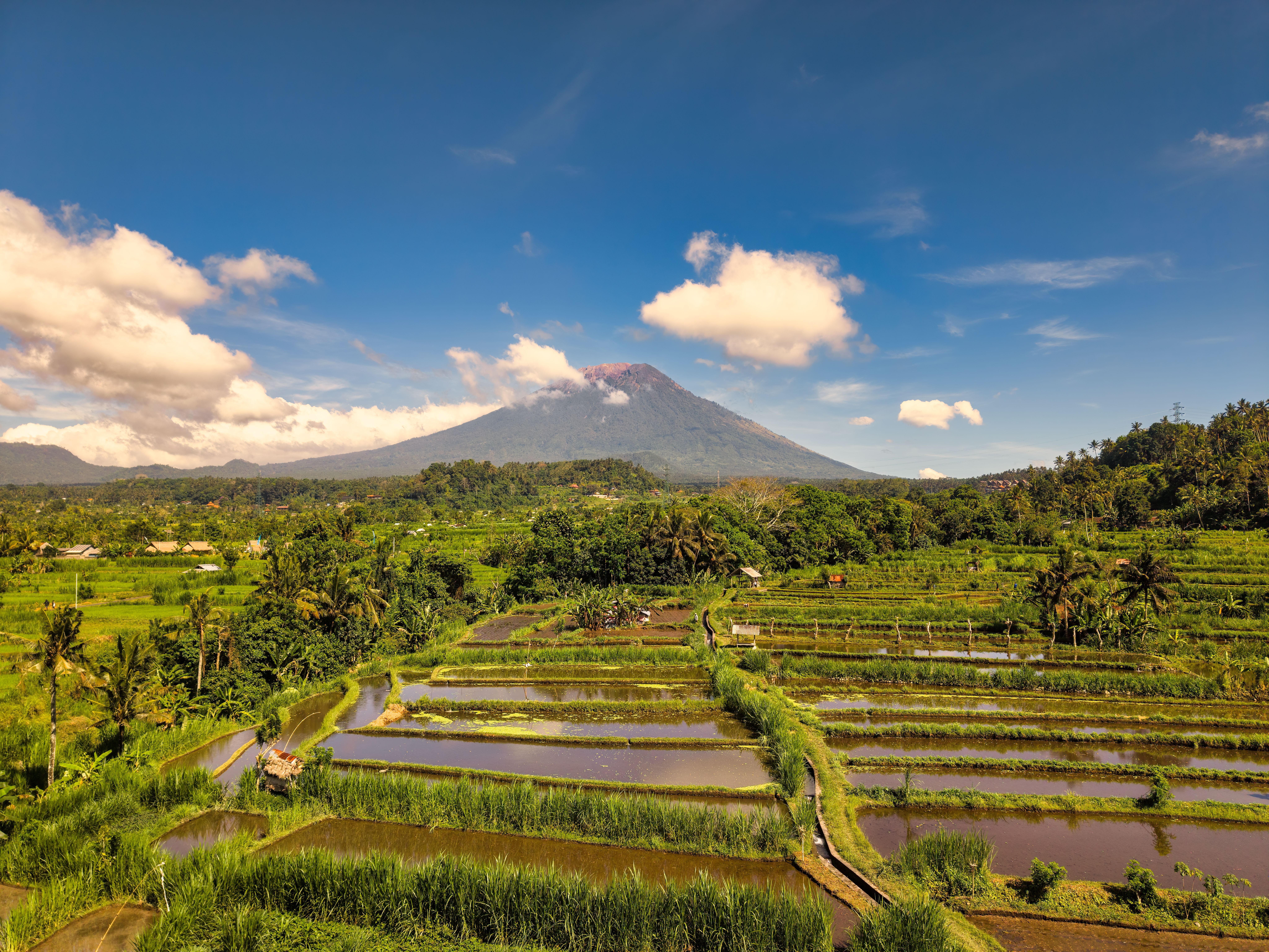 Scenic Bali Landscape with Rice Terraces and Volcano · Free Stock Photo