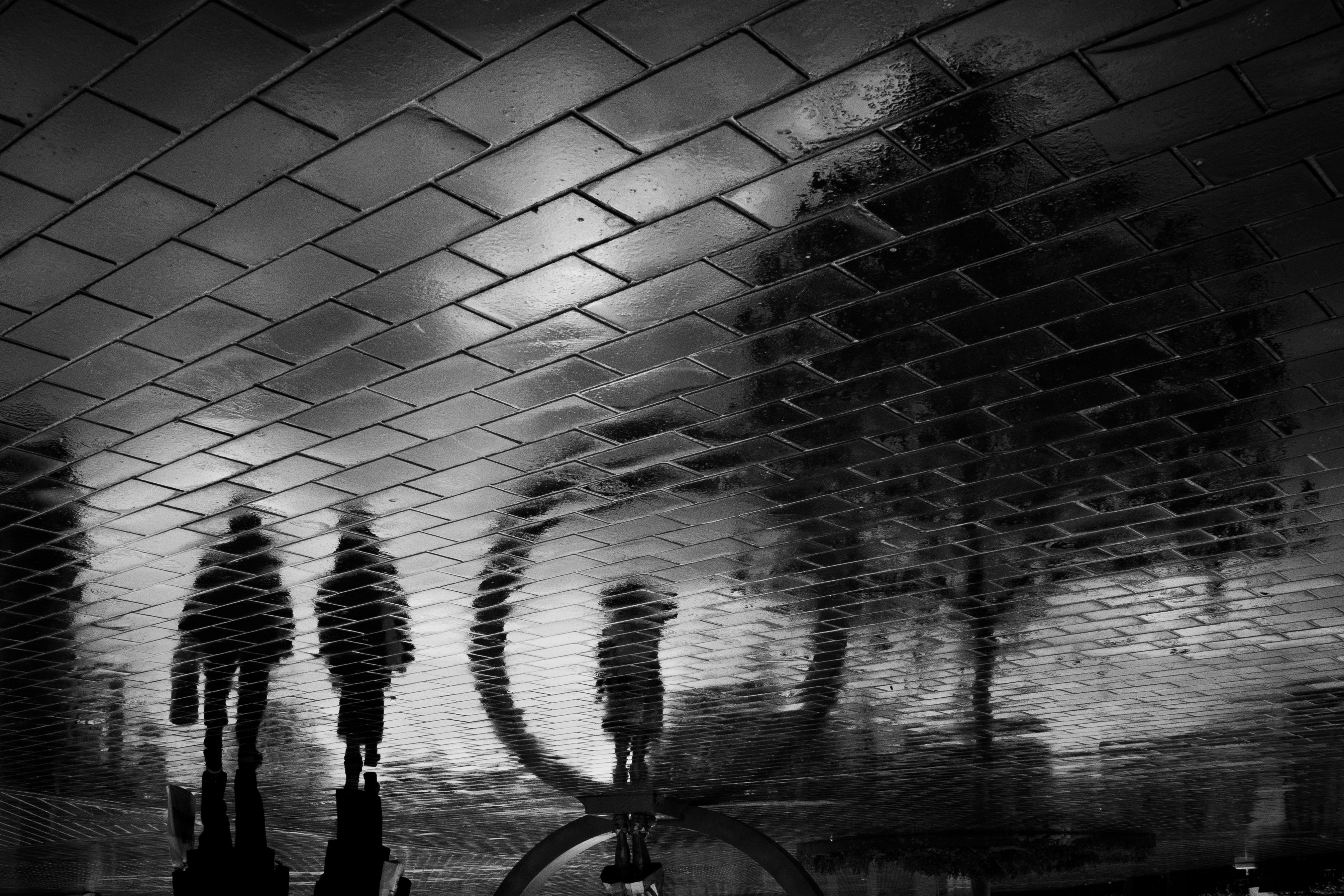 Black and White Reflection of Silhouetted Family · Free Stock Photo