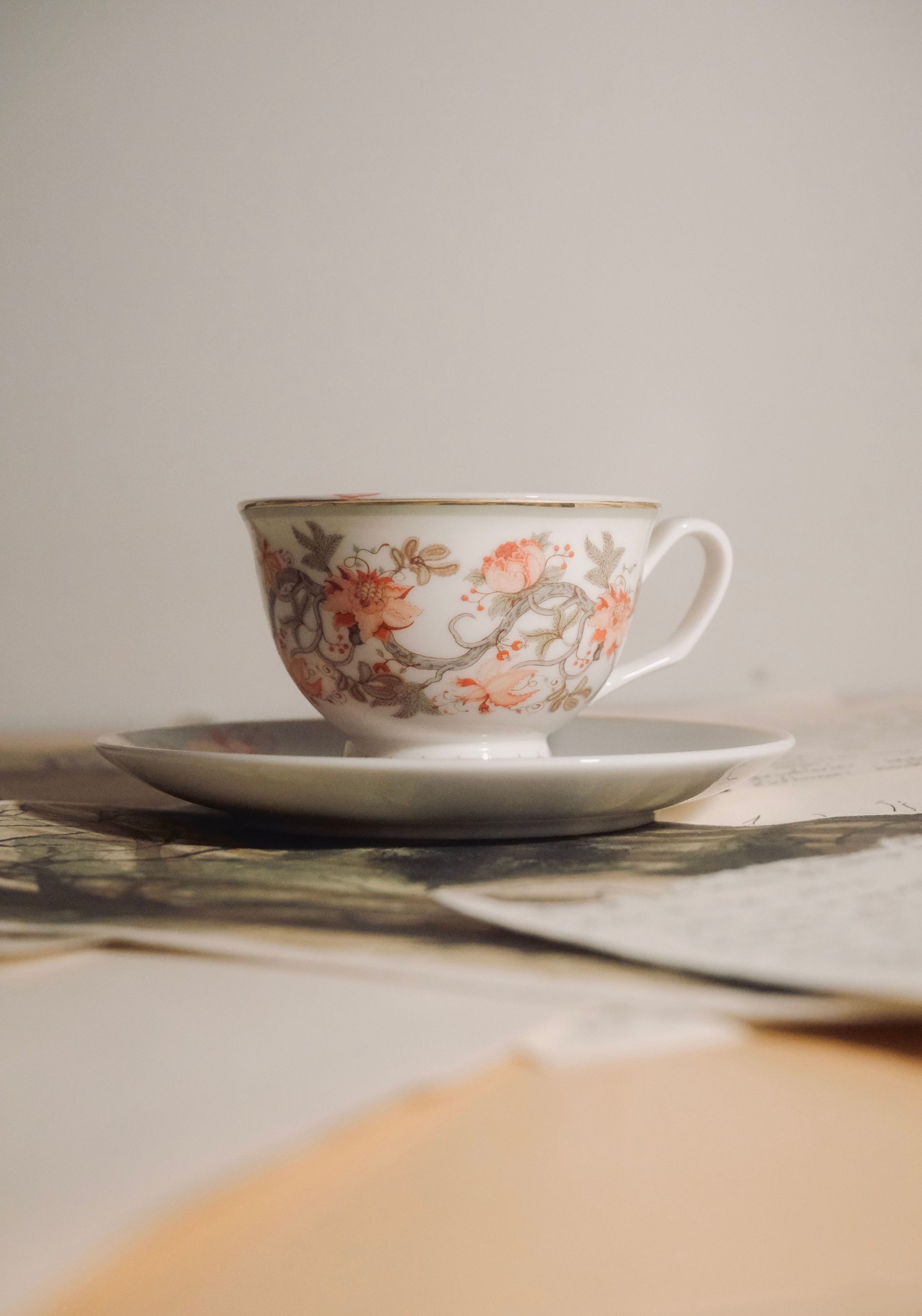 Teacup Photos, Download The BEST Free Teacup Stock Photos & HD Images