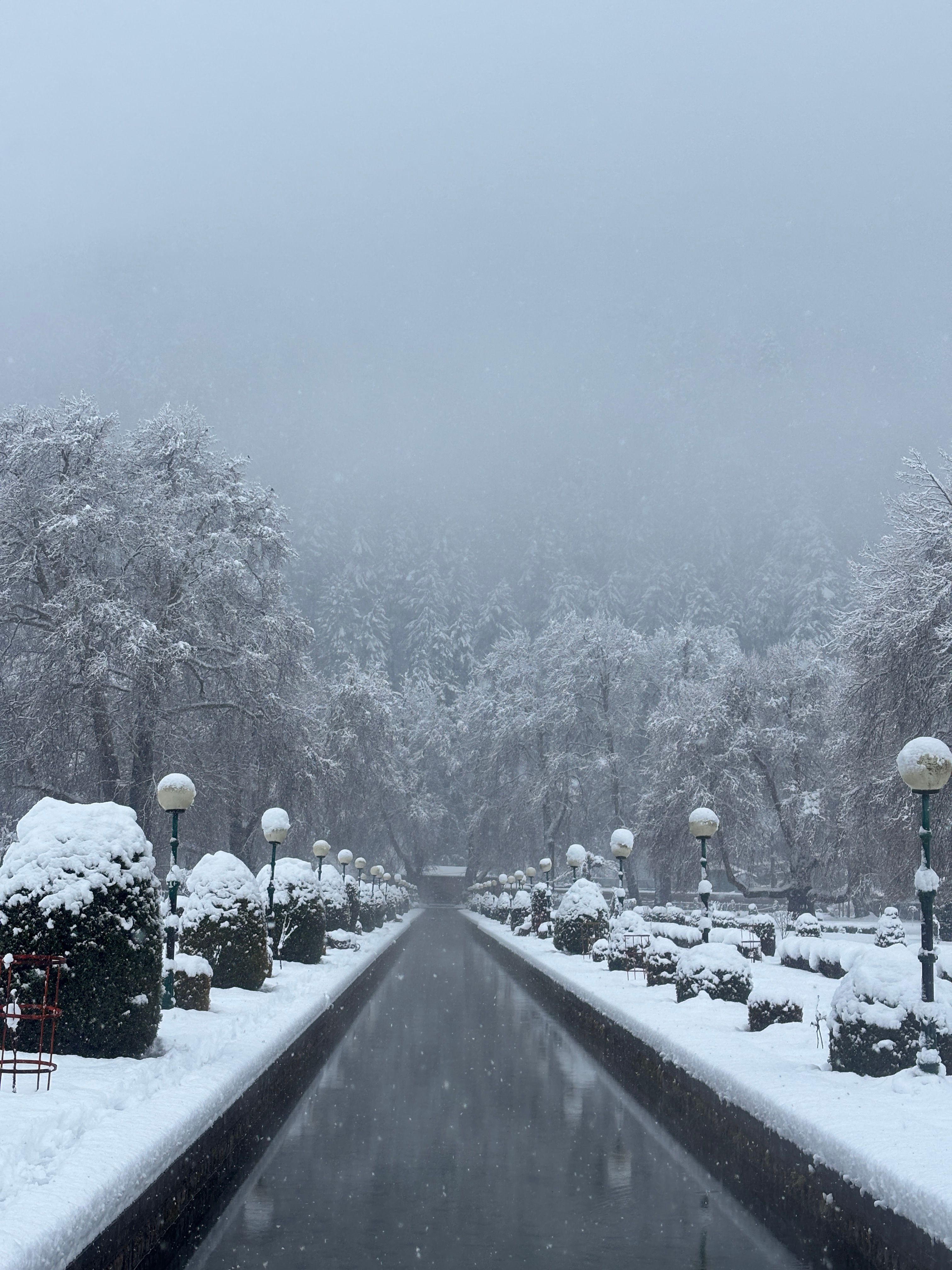 Snowy Landscape in Verinag, Kashmir Winter · Free Stock Photo