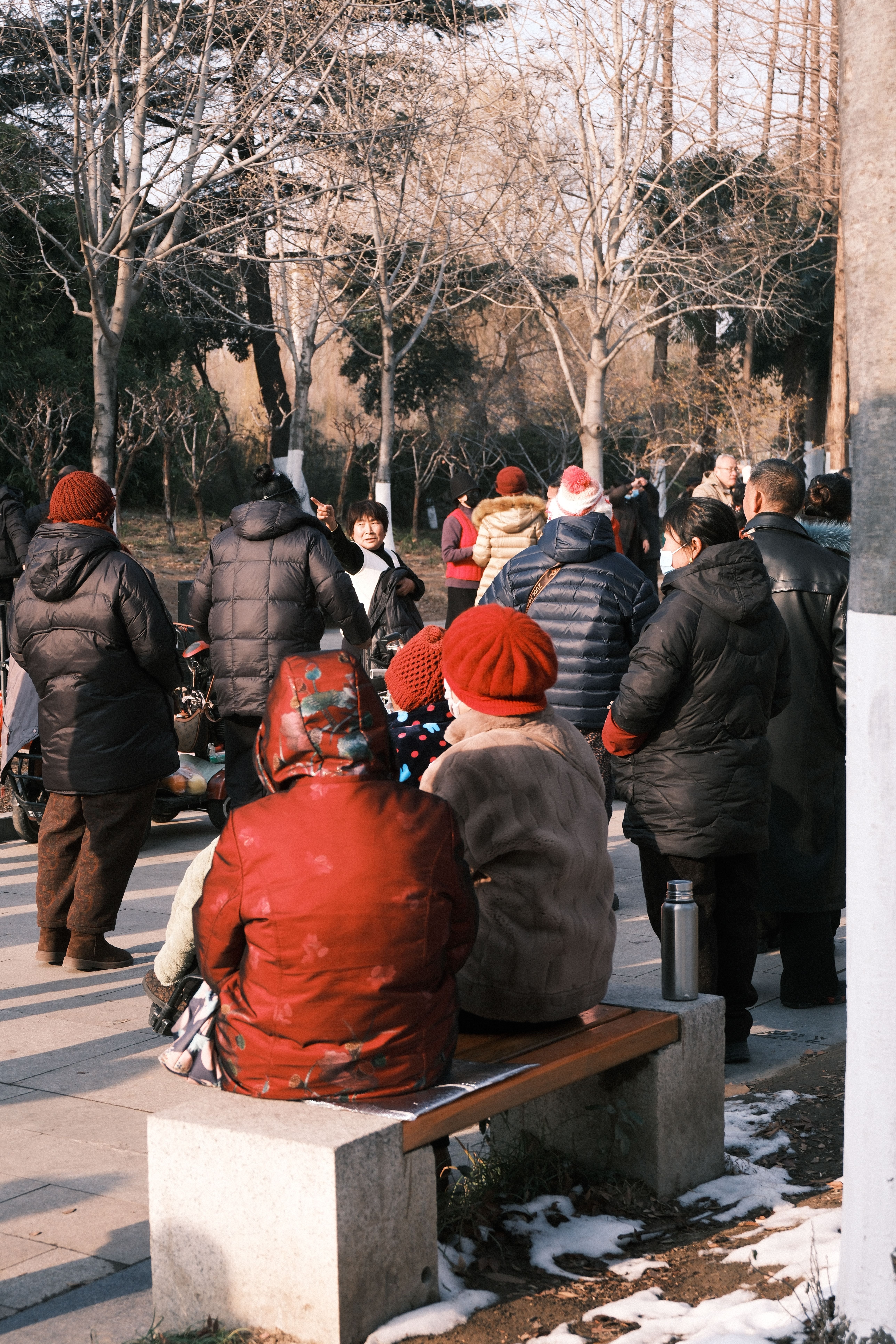 Crowded Park Scene in Winter · Free Stock Photo