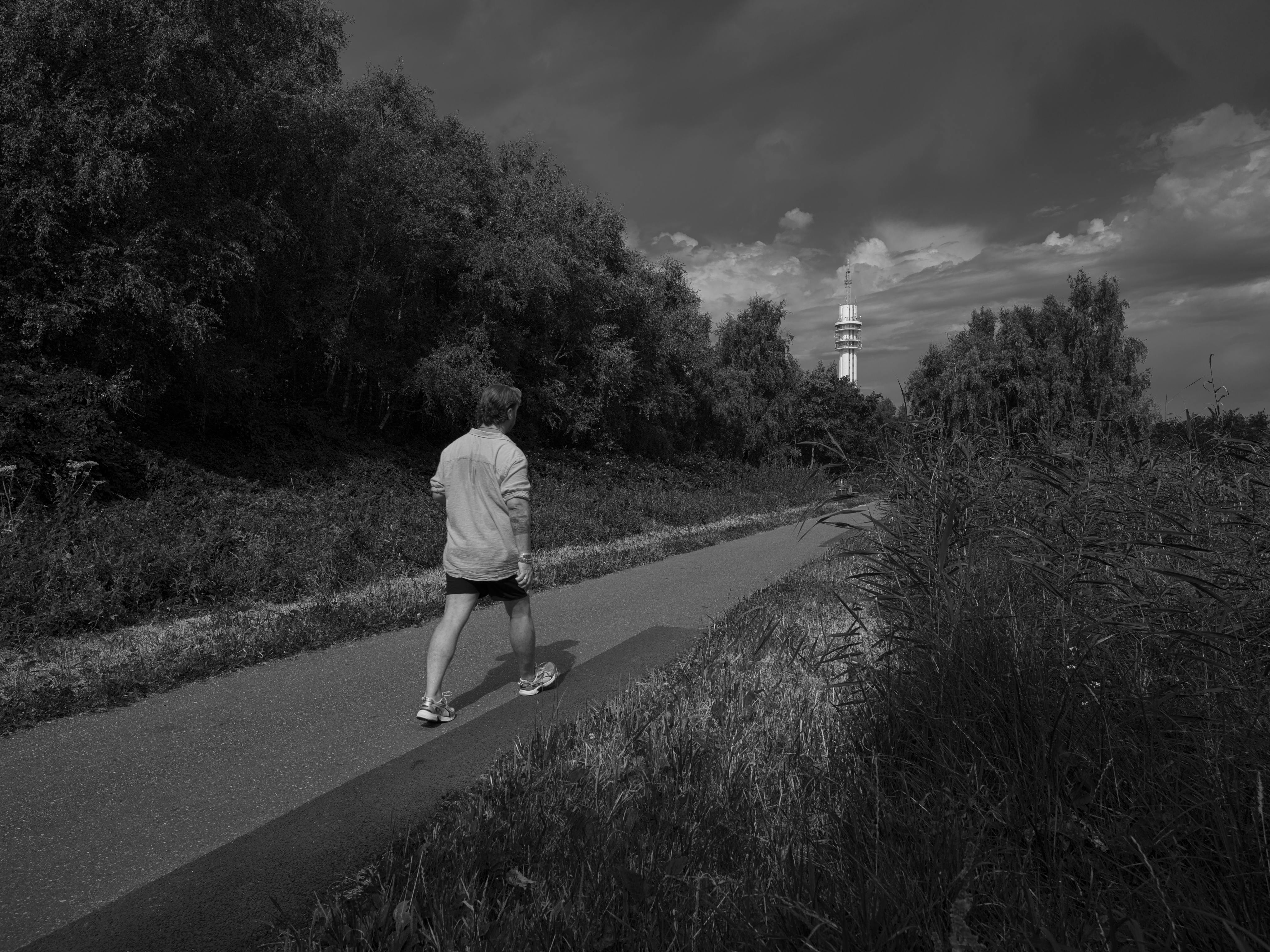 Siyah Beyaz Fotoğrafta Patikada Yürüyen Adam · Ücretsiz Stok Fotoğraf