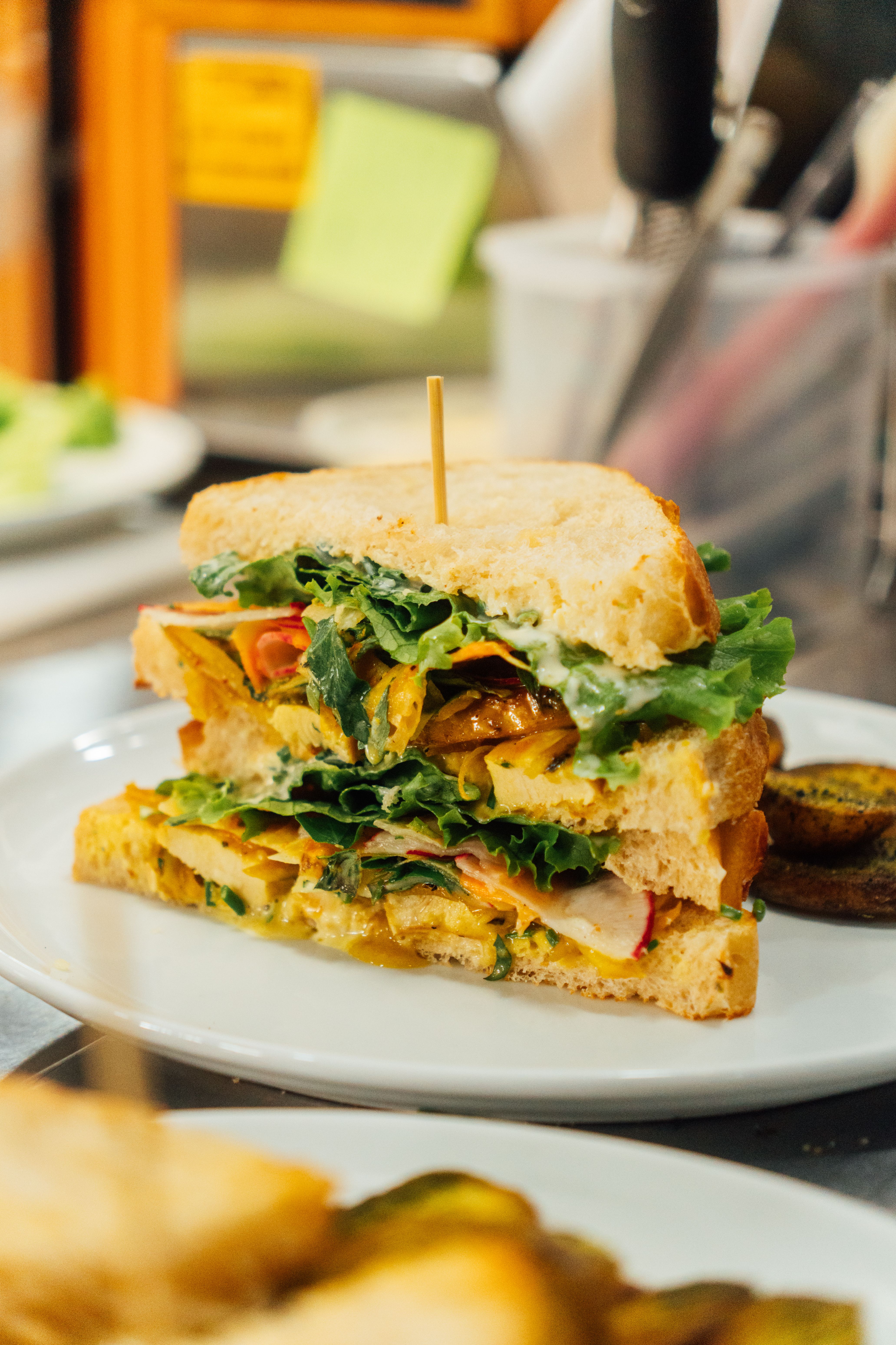 Close-Up Photo of Vegetable Sandwich on Plate · Free Stock Photo
