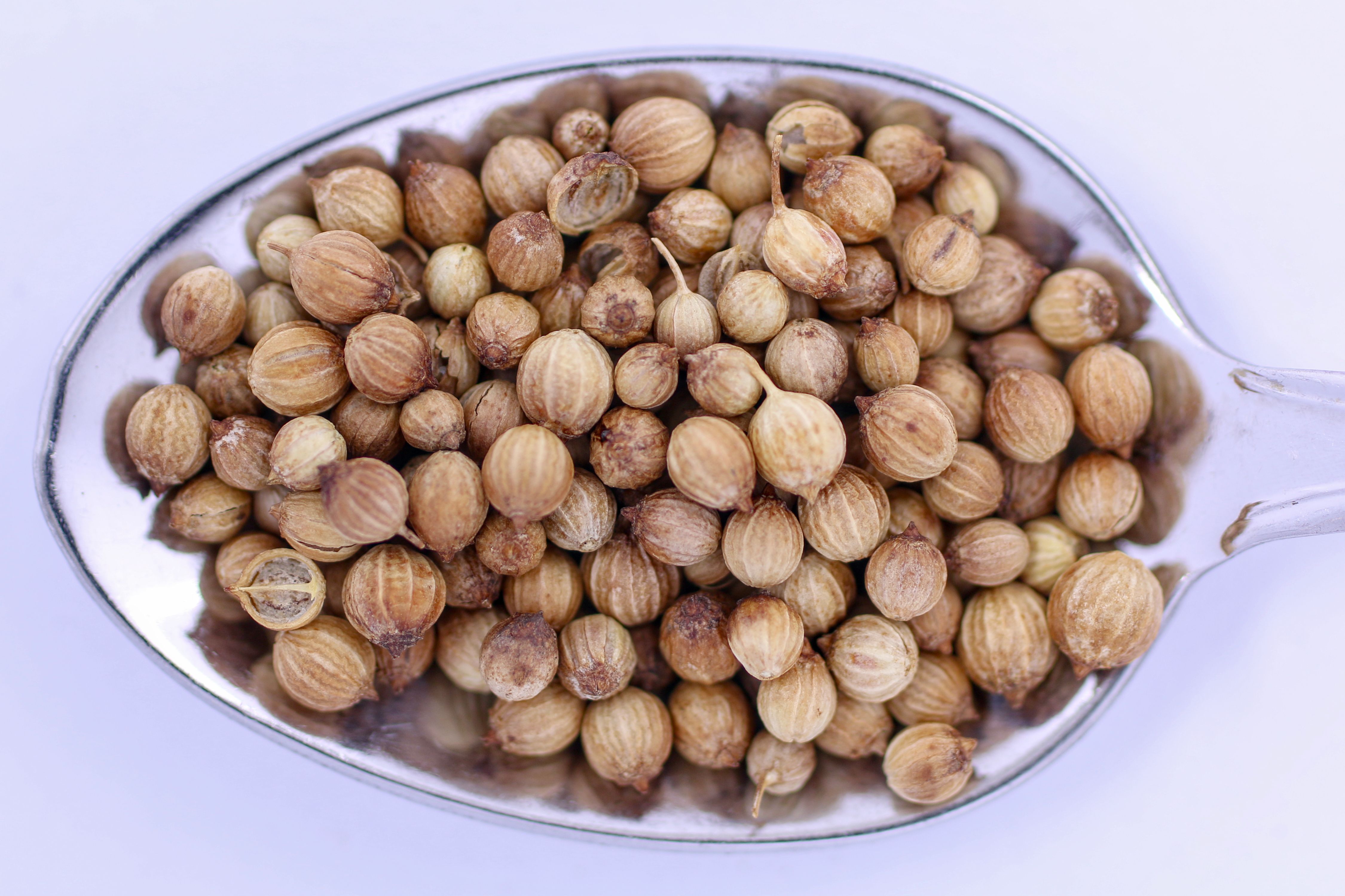 Close-Up of Coriander Seeds in Silver Spoon · Free Stock Photo