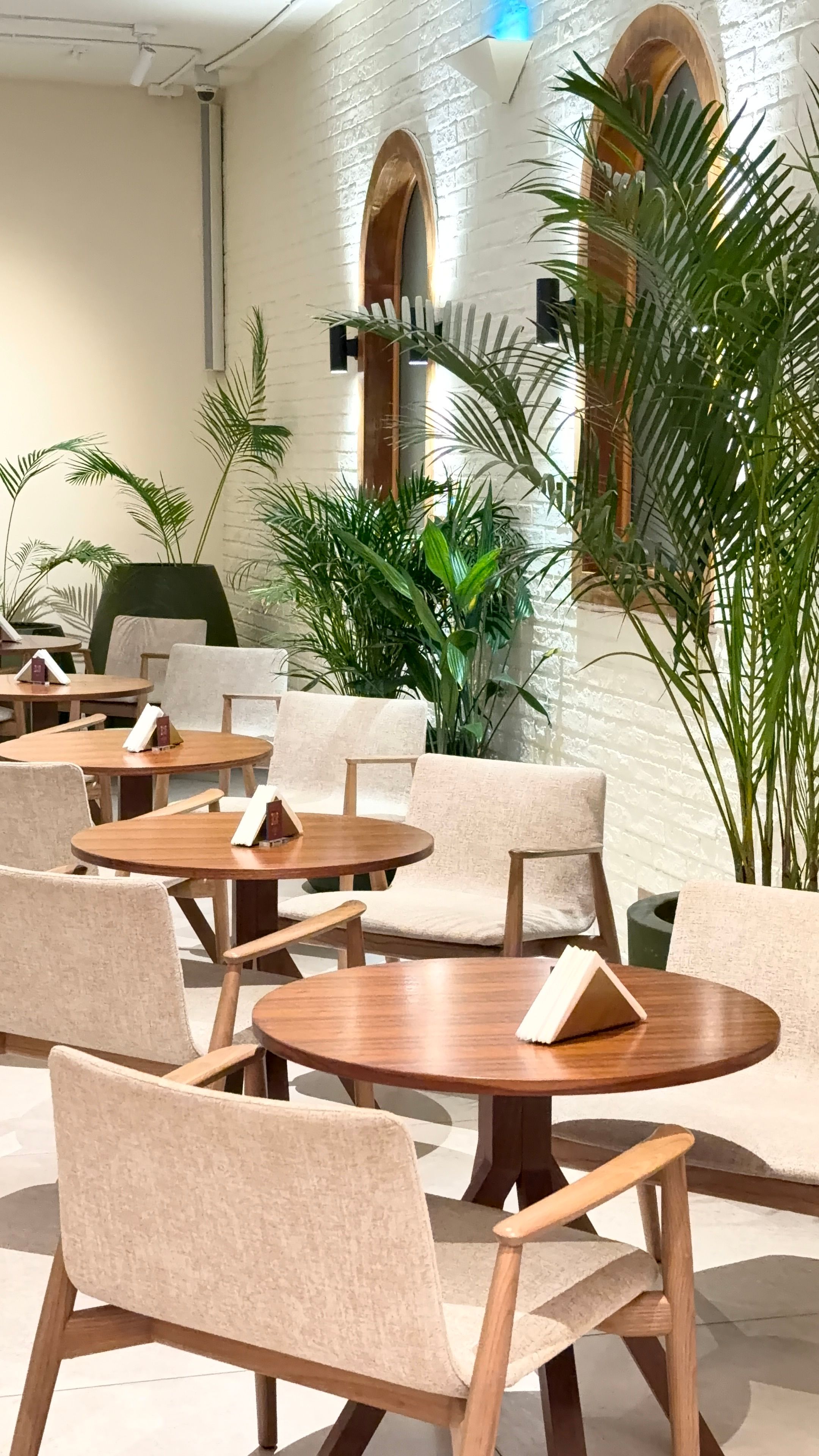 Cozy Indoor Café with Wooden Furniture and Plants · Free Stock Photo