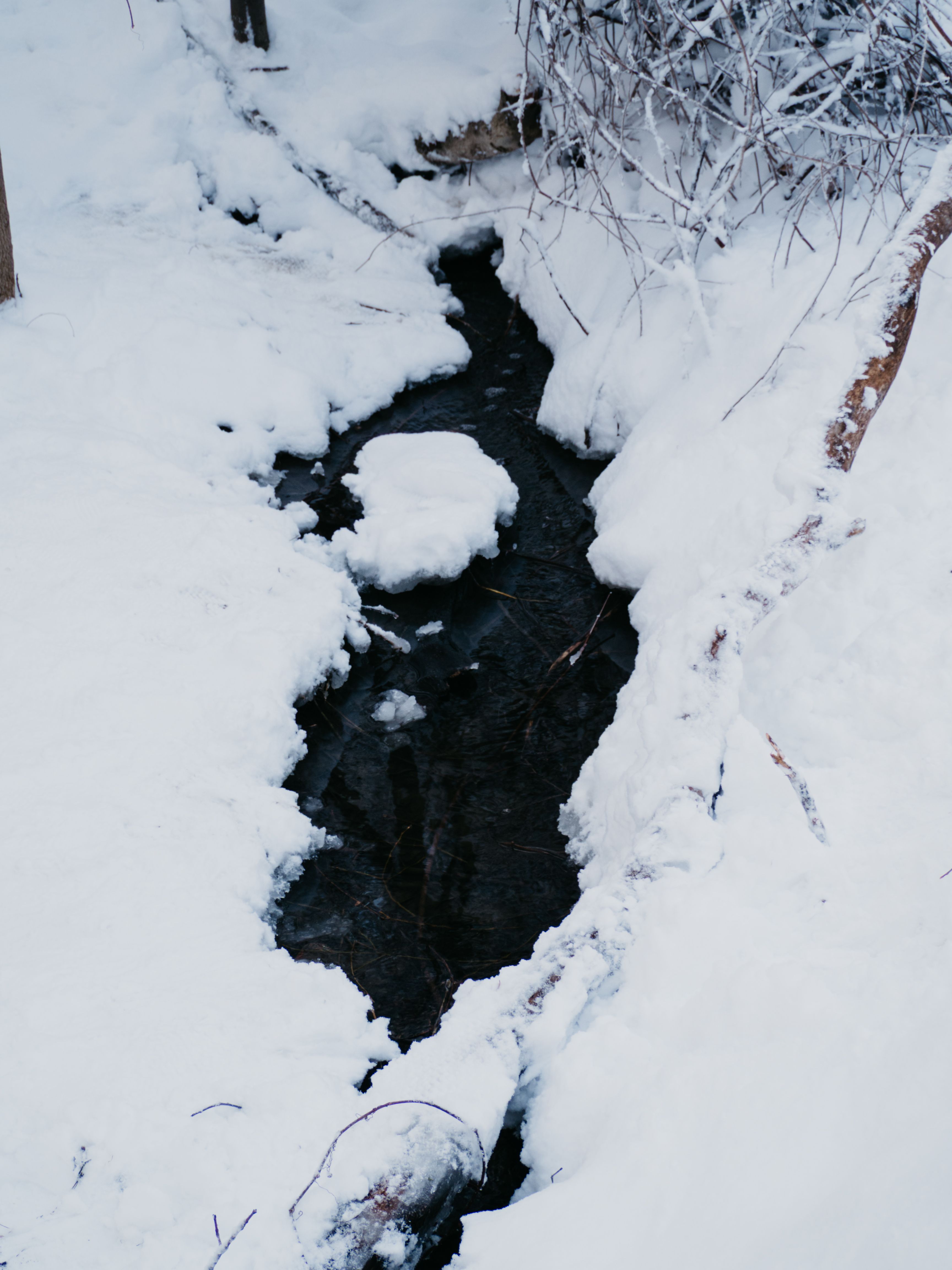 Snow-Covered Stream in a Winter Wonderland · Free Stock Photo