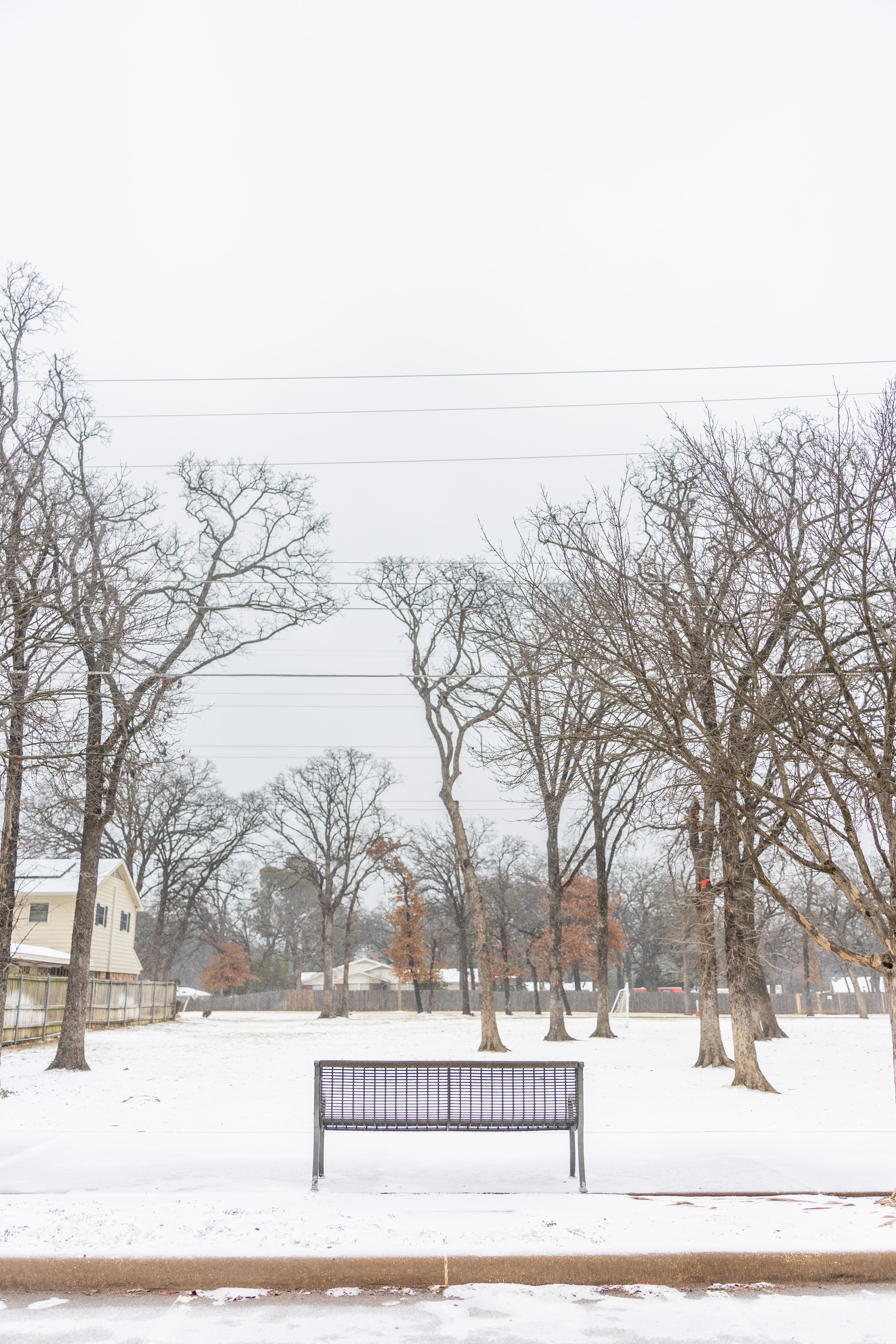 Winter Park Scene with Snow-Covered Bench · Free Stock Photo