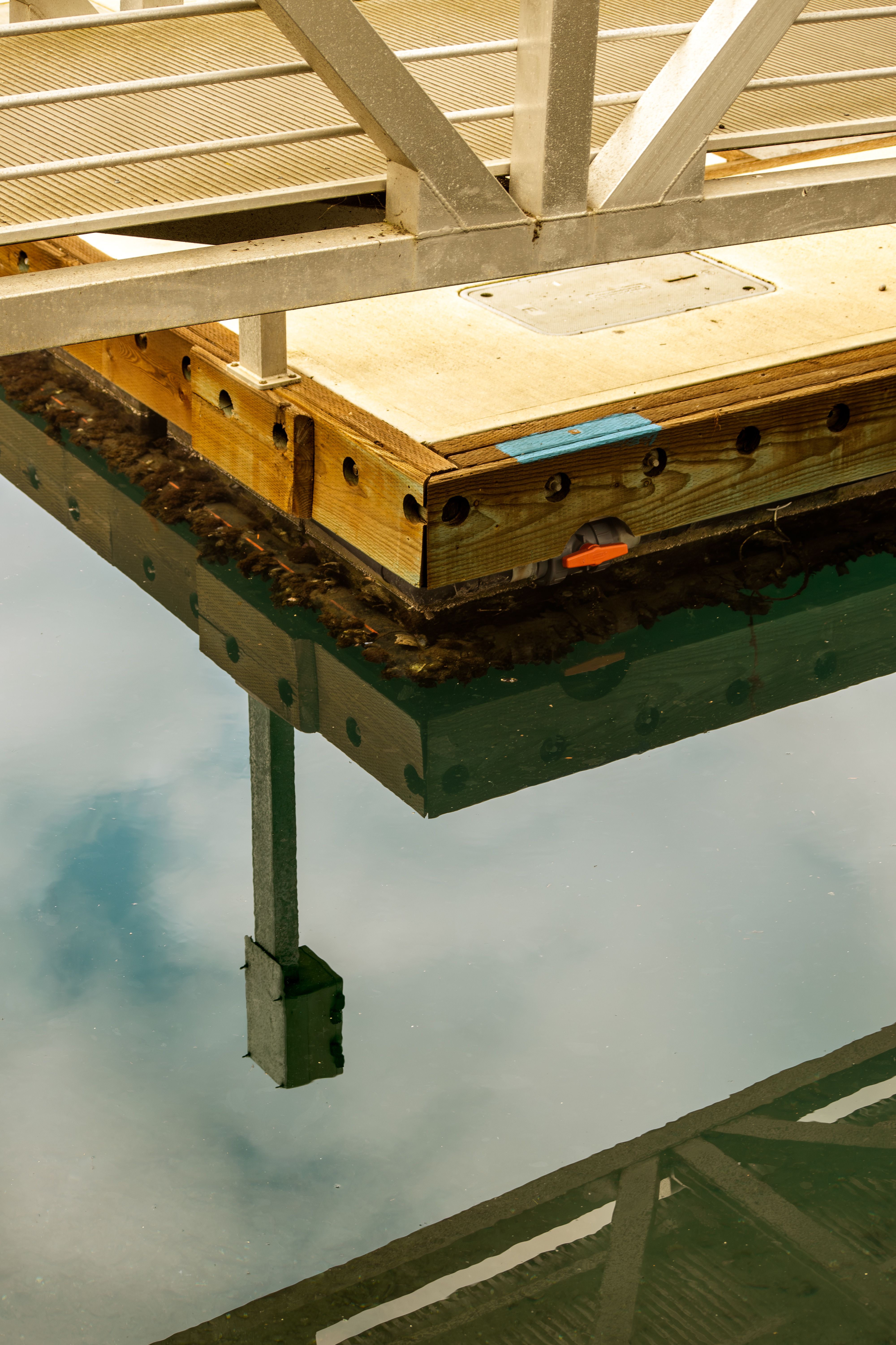 Serene Dock Reflection on Water Surface · Free Stock Photo