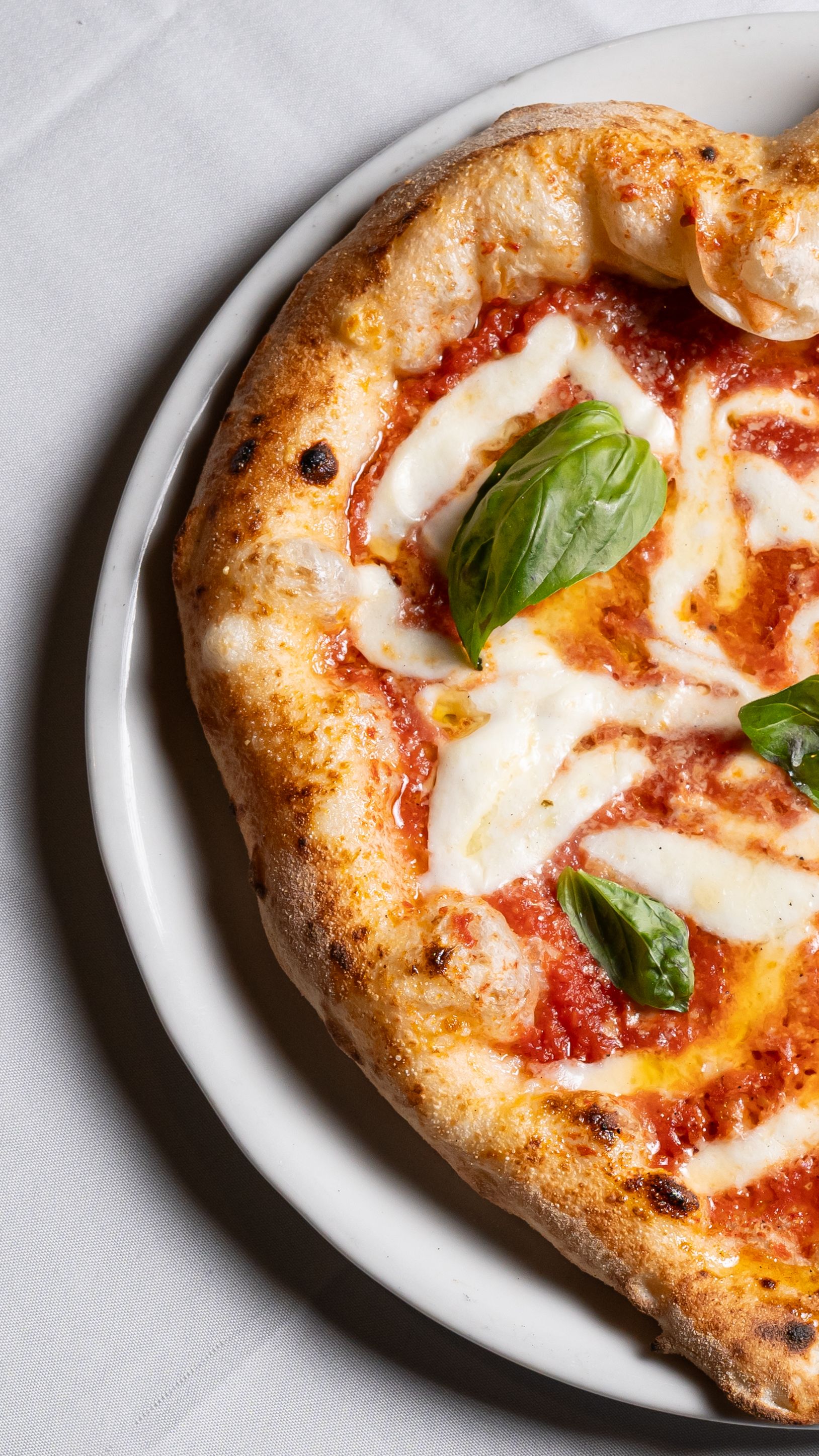 Deliciosa Pizza Margarita En Plato Blanco · Foto de stock gratuita