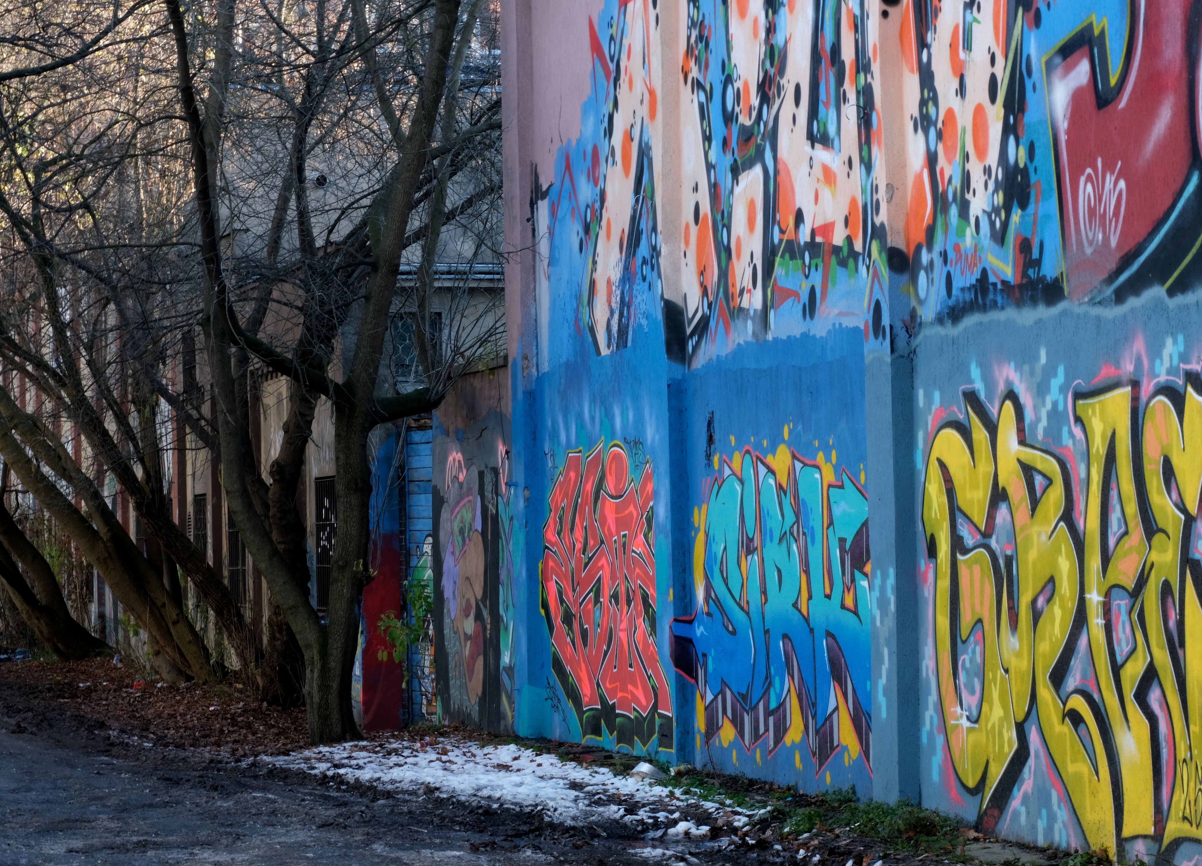 Vibrant Urban Street Art on Building Wall · Free Stock Photo