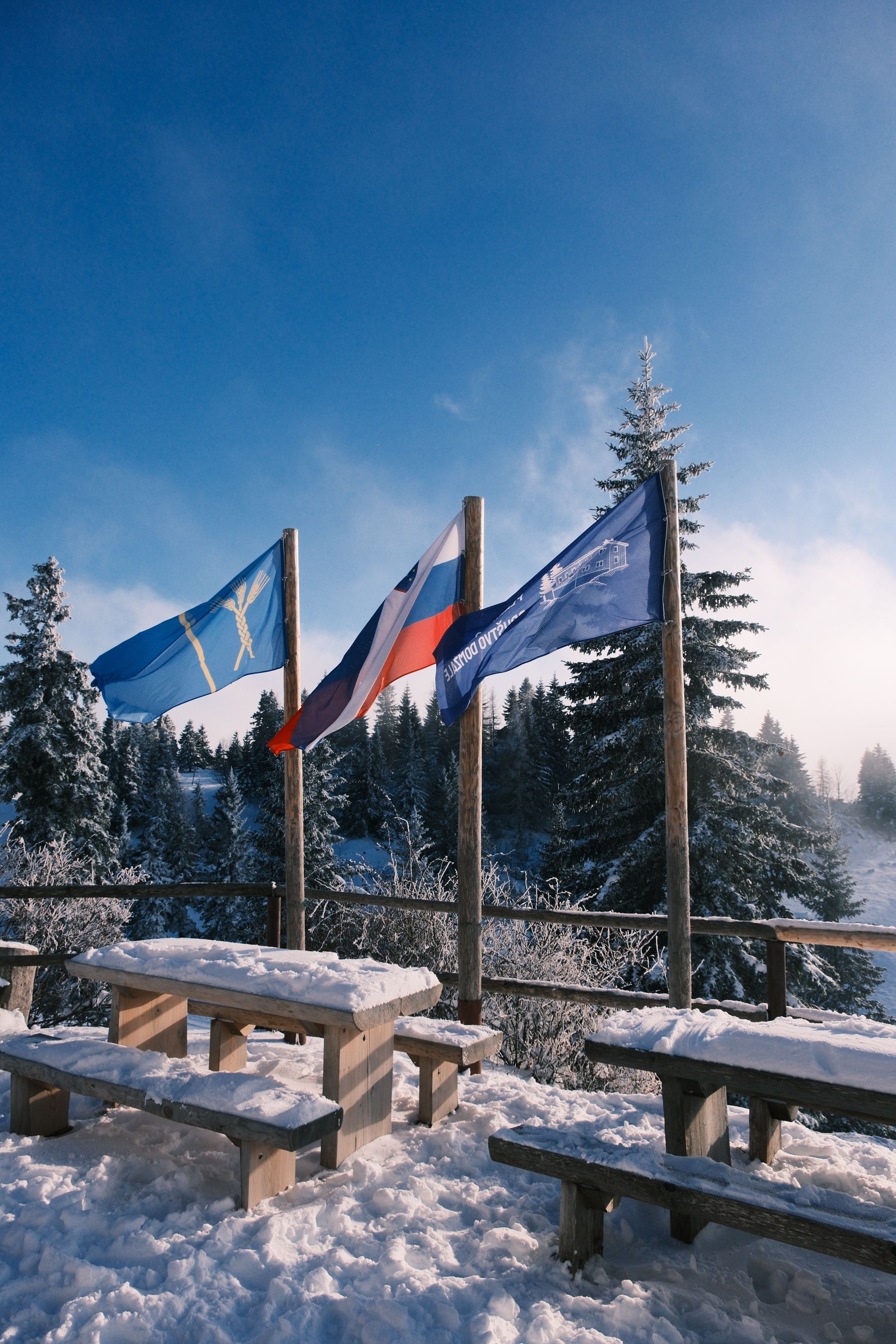 Snowy Winter Landscape with Flags and Benches · Free Stock Photo