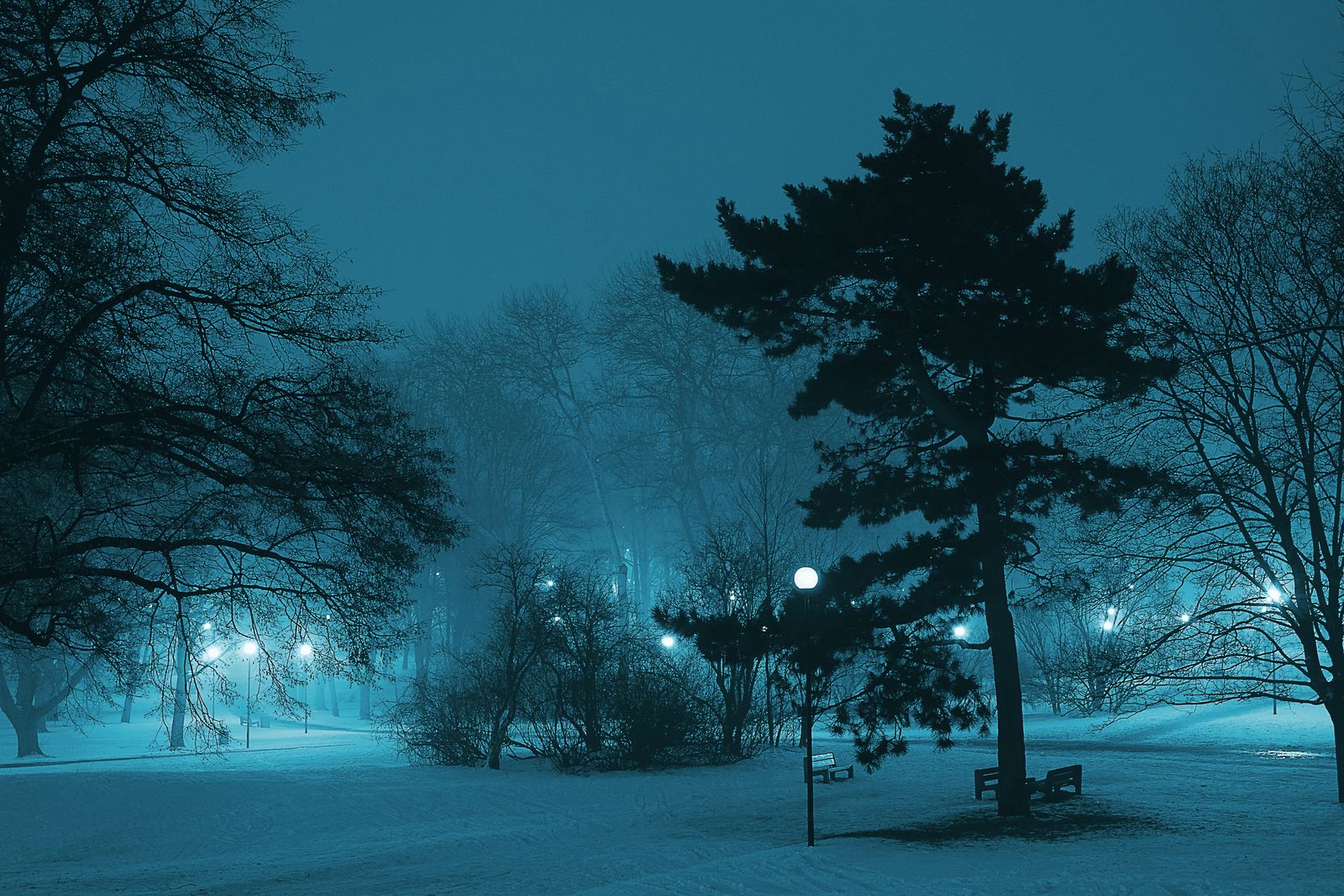 Chilly Photos, Download The BEST Free Chilly Stock Photos & HD Images
