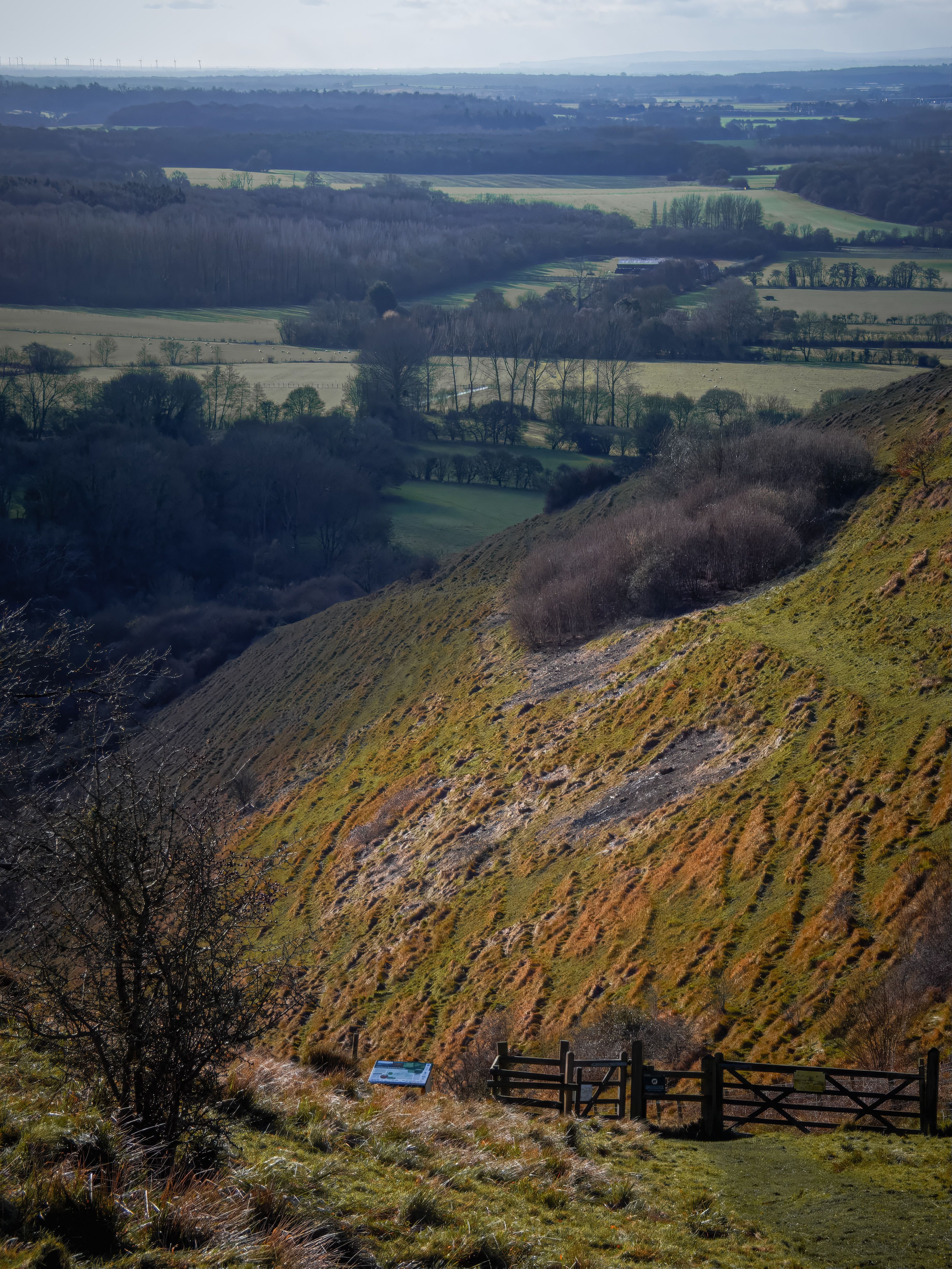 Scenic View of Rolling Countryside Hillside · Free Stock Photo