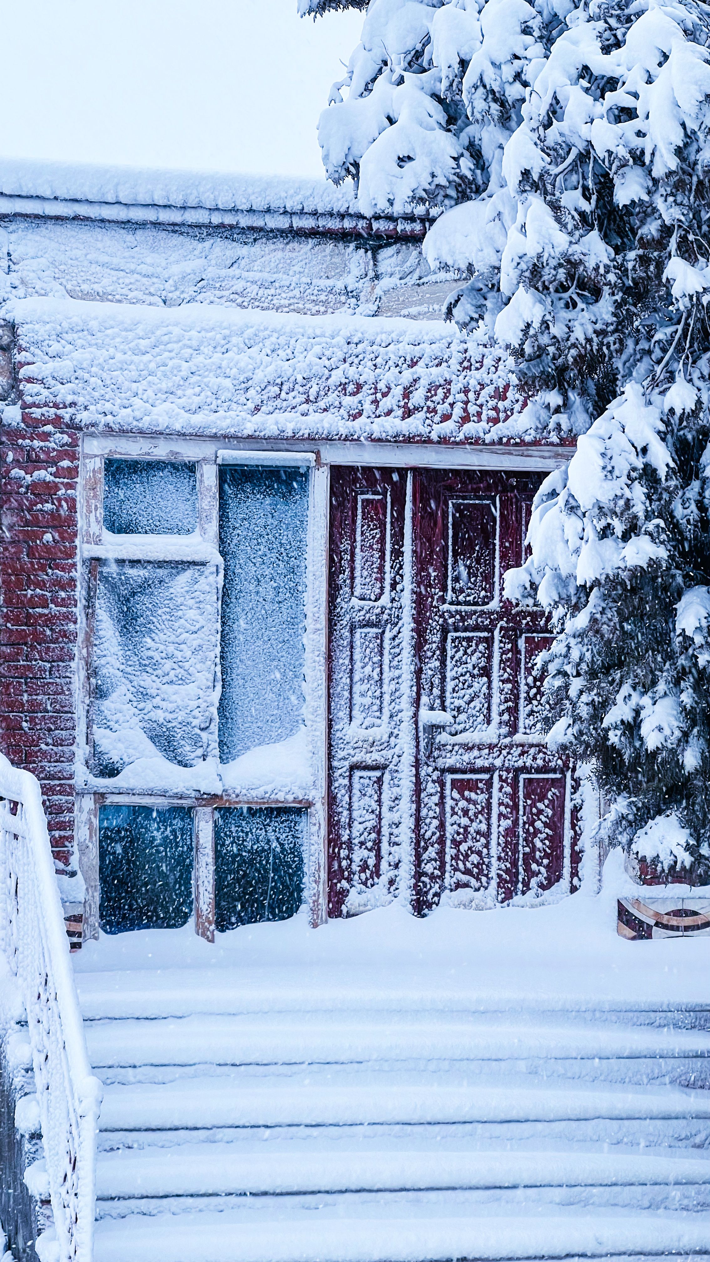 Snow-Covered Entrance with Frosted Trees · Free Stock Photo