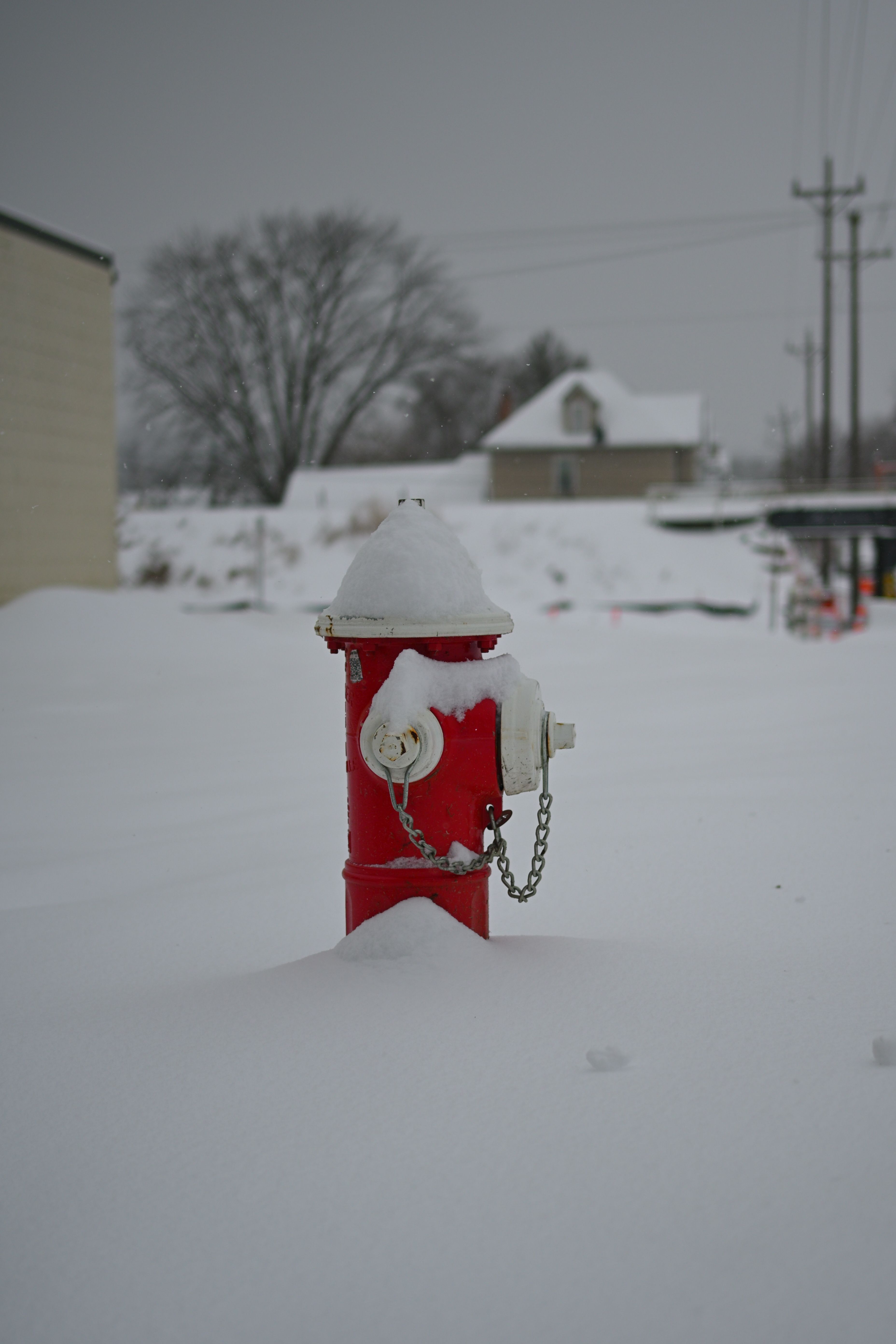 Red Fire Hydrant in Snow-Covered Winter Scene · Free Stock Photo