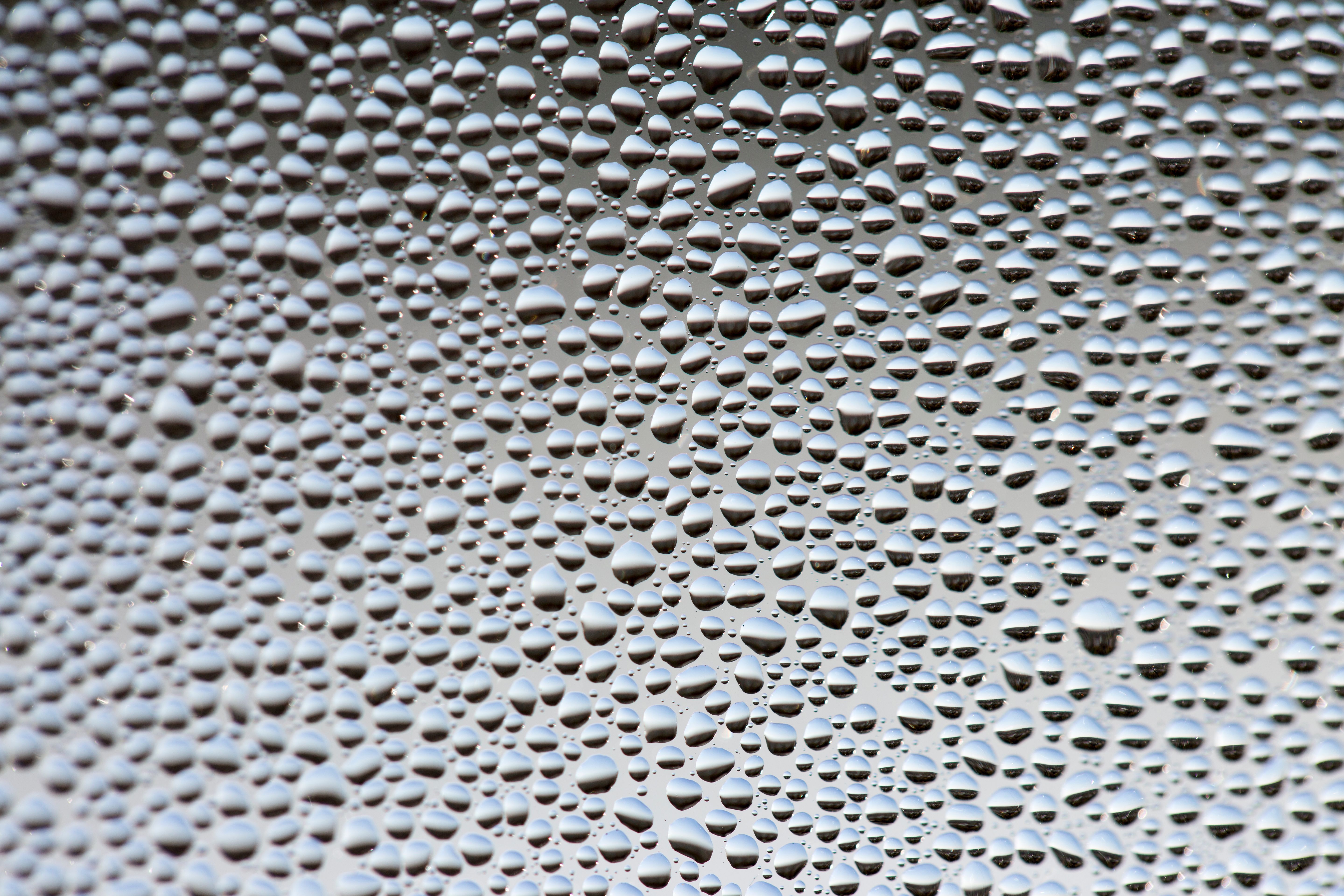 Close-up of Water Droplets on Glass Surface · Free Stock Photo