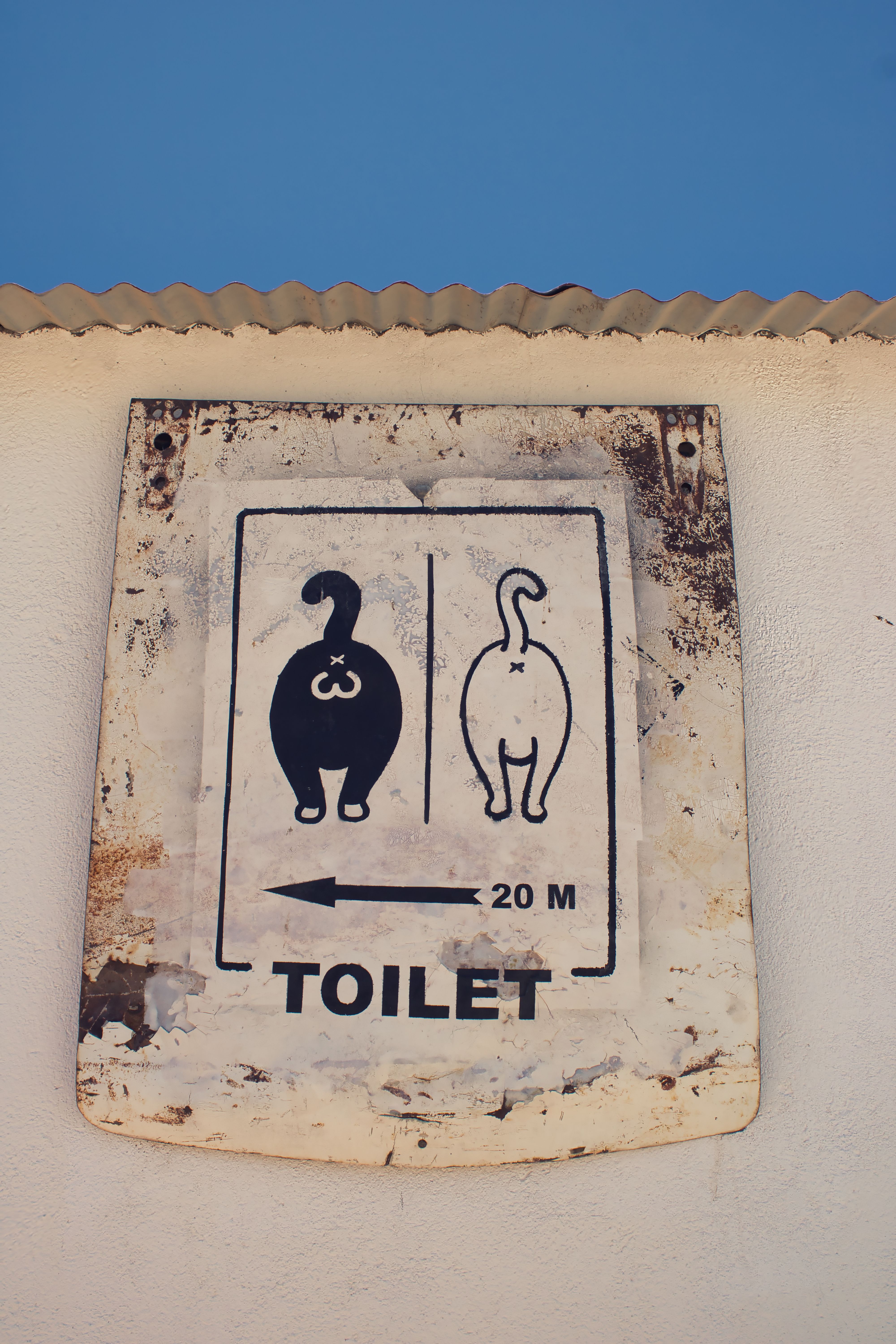 Humor+Funny Photos, Download The BEST Free Humor+Funny Stock Photos ...