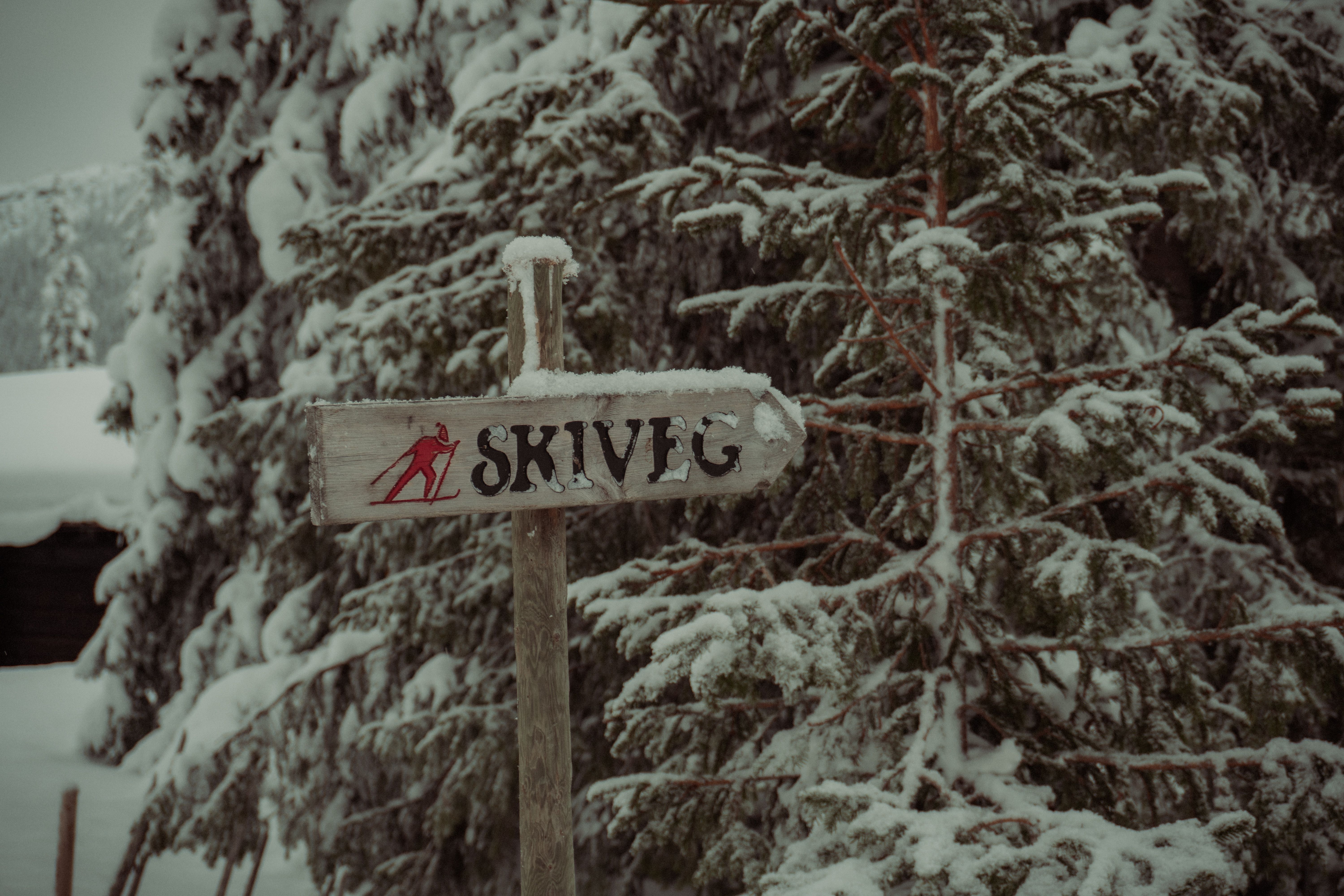 Ski Trail Sign in Snowy Norwegian Forest · Free Stock Photo