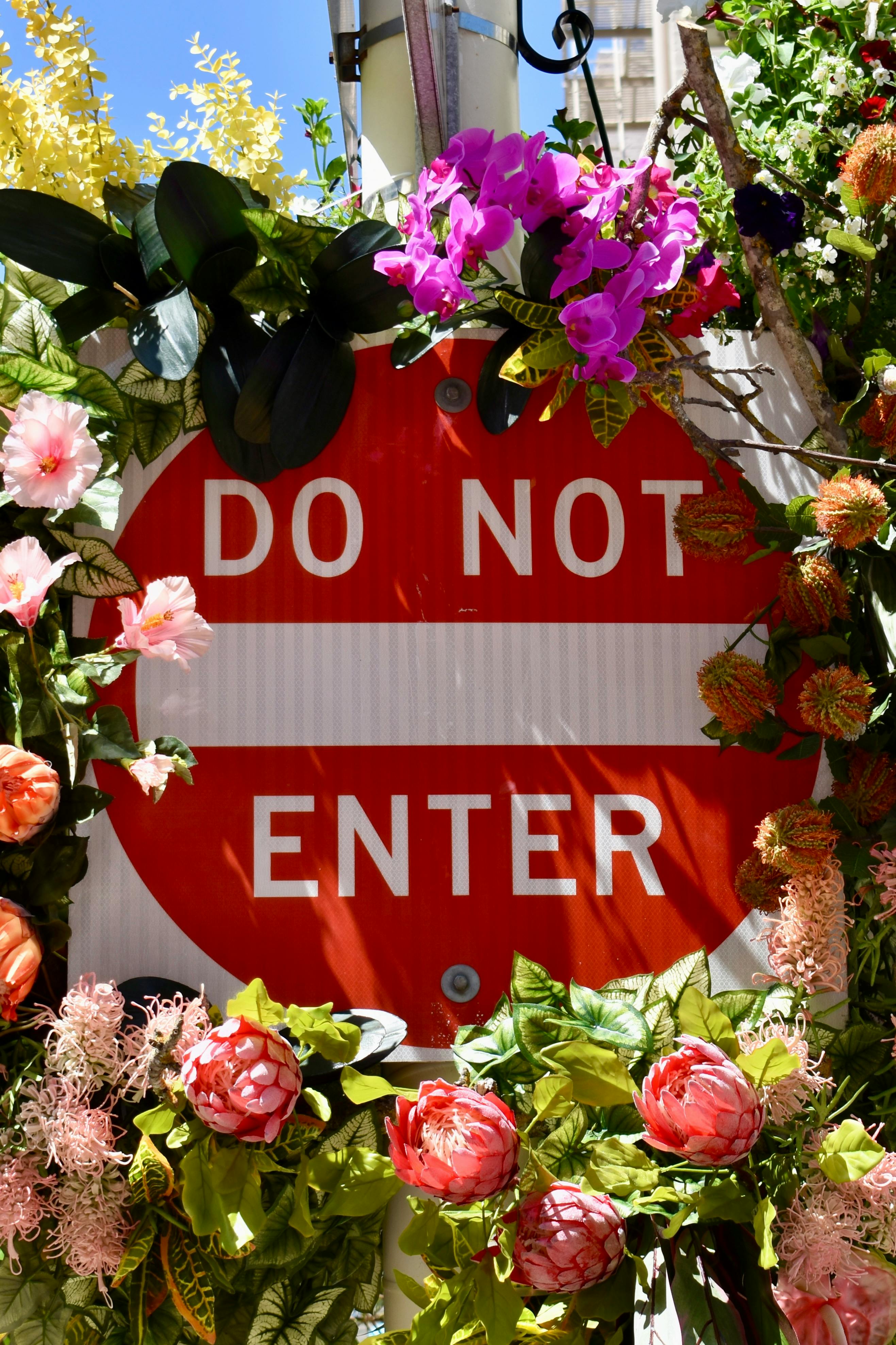 Do Not Enter Sign Surrounded by Vibrant Flowers · Free Stock Photo