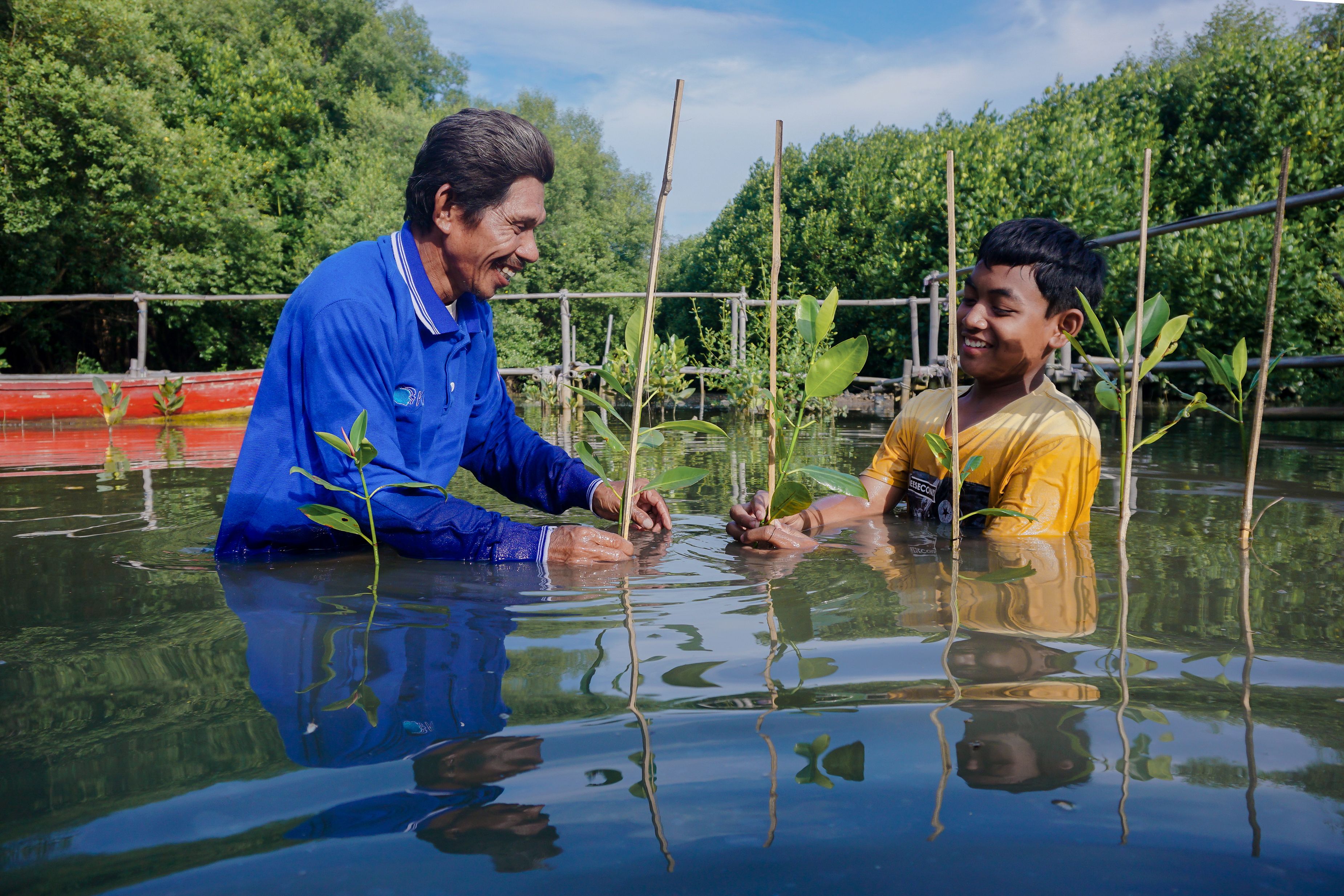 Father and Son Planting Mangroves in Indonesia · Free Stock Photo