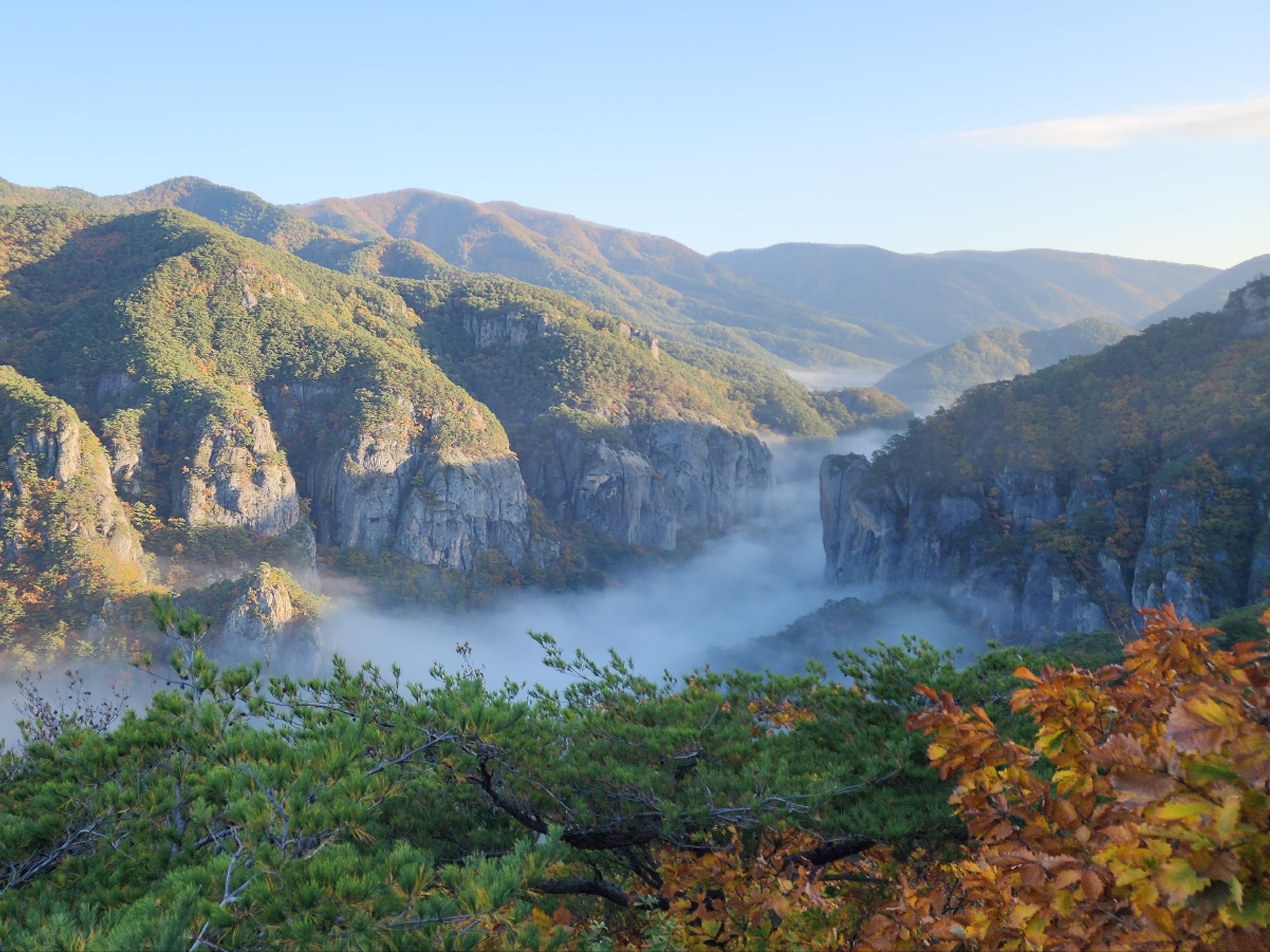 Breathtaking Mountain Valley with Misty Morning Glow · Free Stock Photo