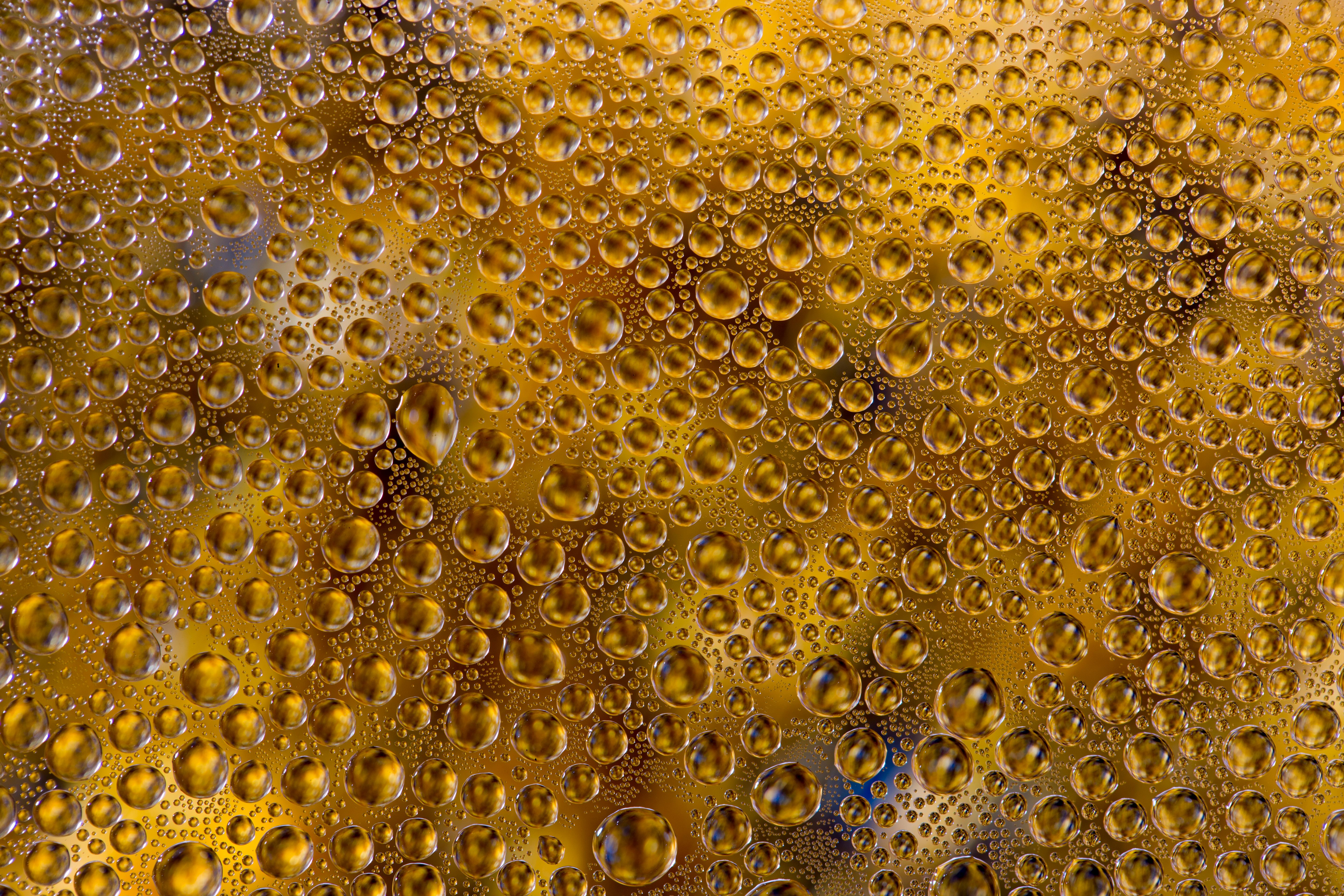 Close-up of Water Droplets on Glass Surface · Free Stock Photo