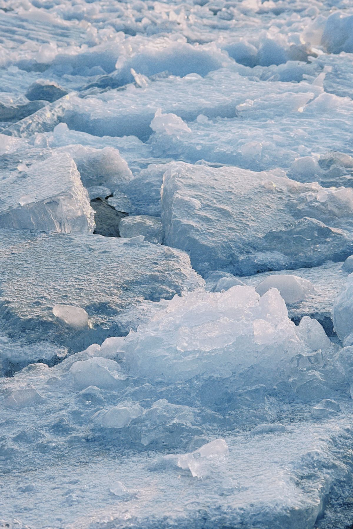 Good+Morning+Ice+Cold+Gif Photos, Download The BEST Free Good+Morning ...