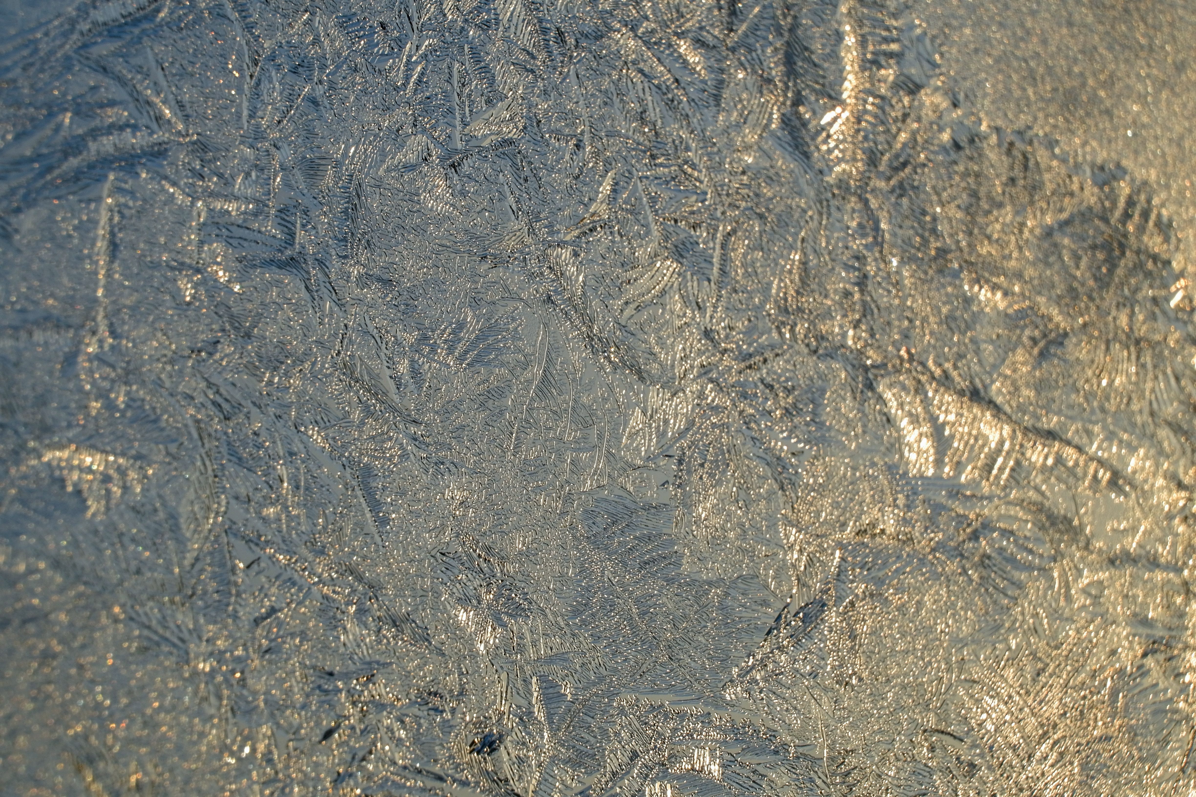 Frosted Glass Texture Photos, Download The BEST Free Frosted Glass ...