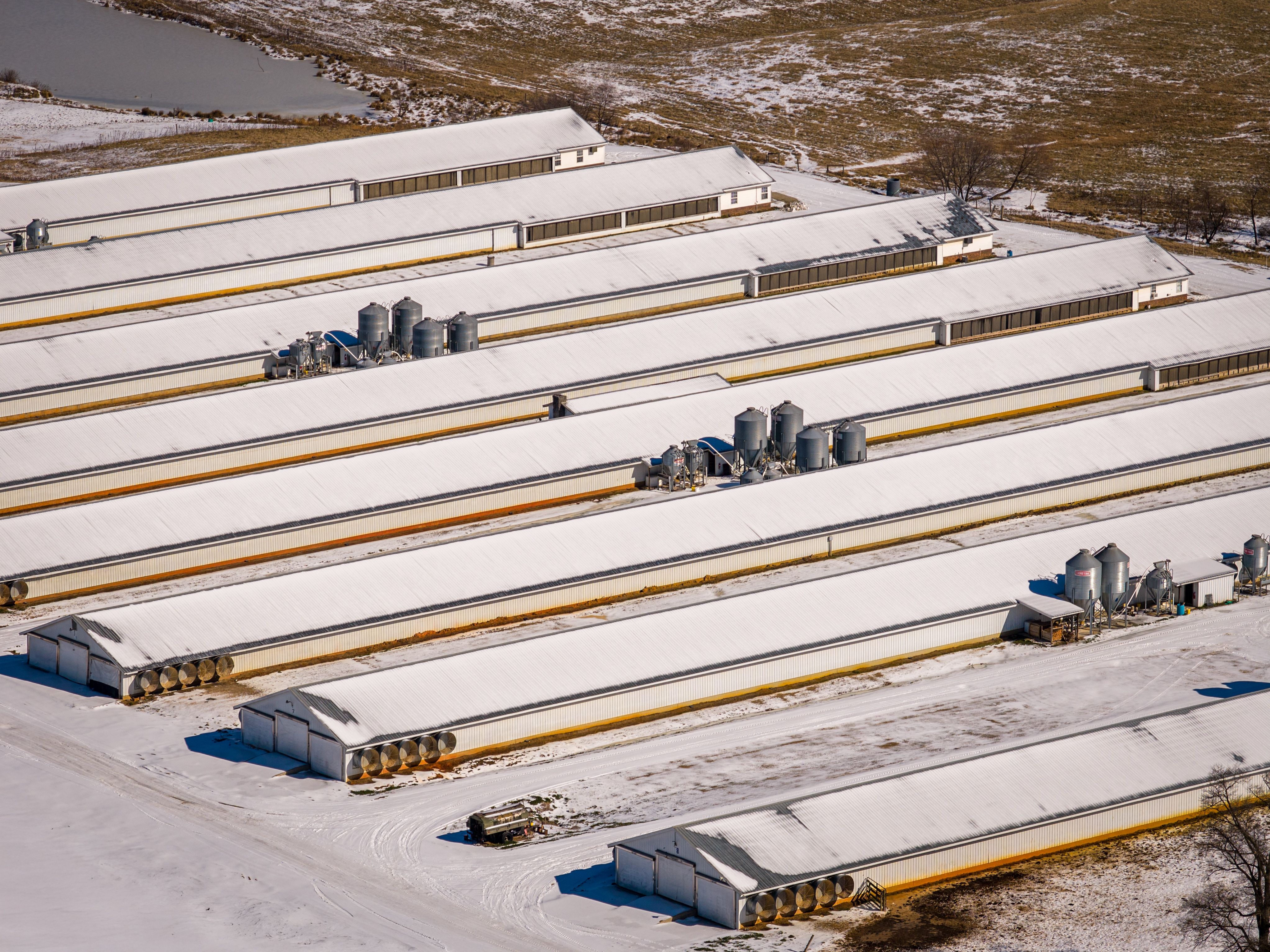 Aerial View of Snow-Covered Poultry Farm Buildings · Free Stock Photo
