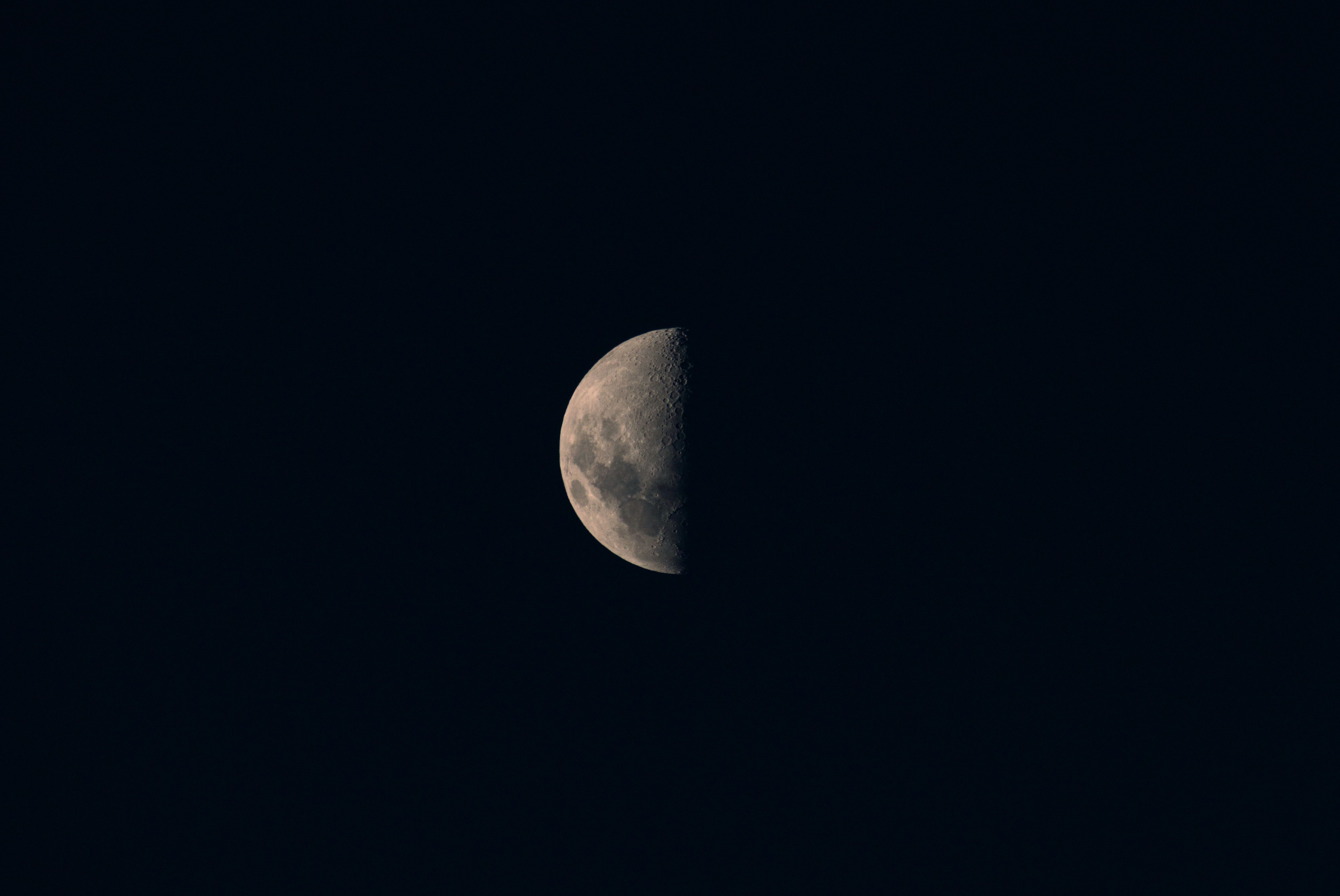 Crisp Half Moon in Clear Night Sky · Free Stock Photo