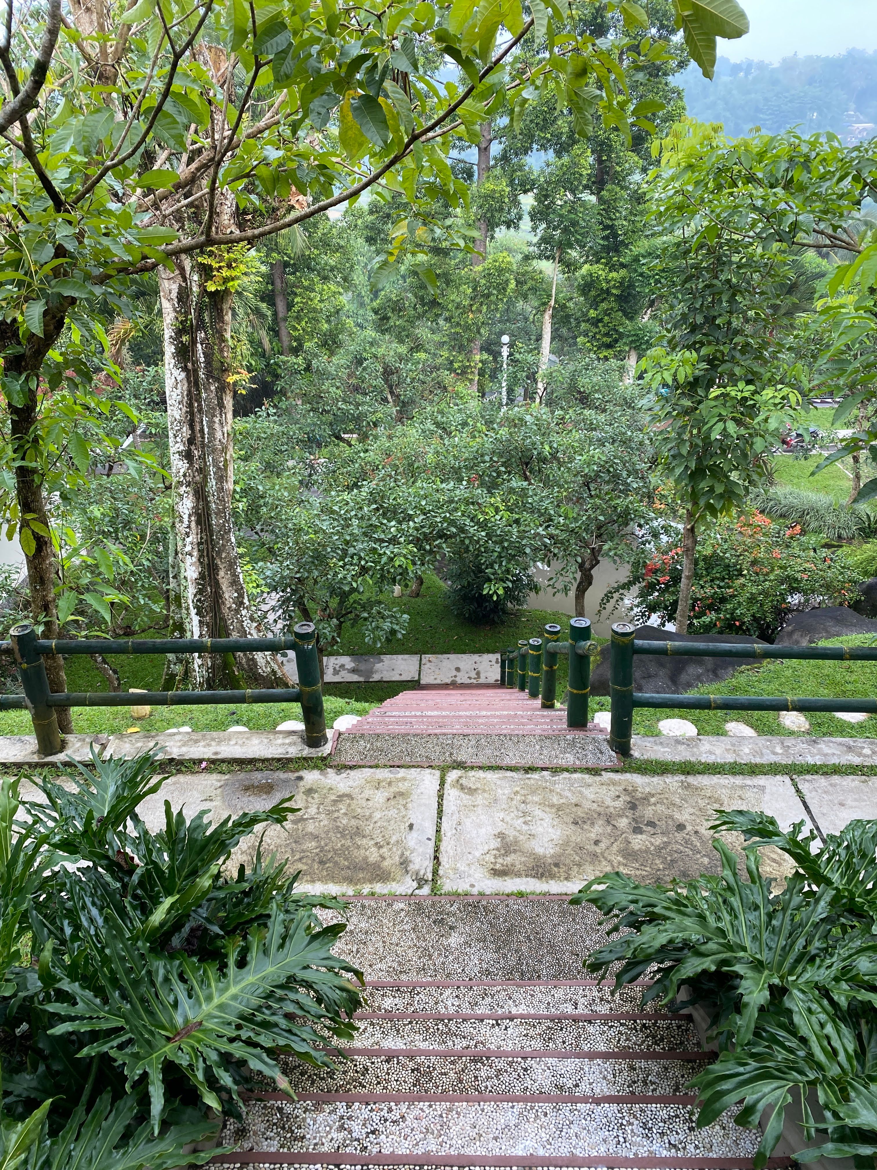 Lush Indonesian Garden Pathway in Semarang · Free Stock Photo
