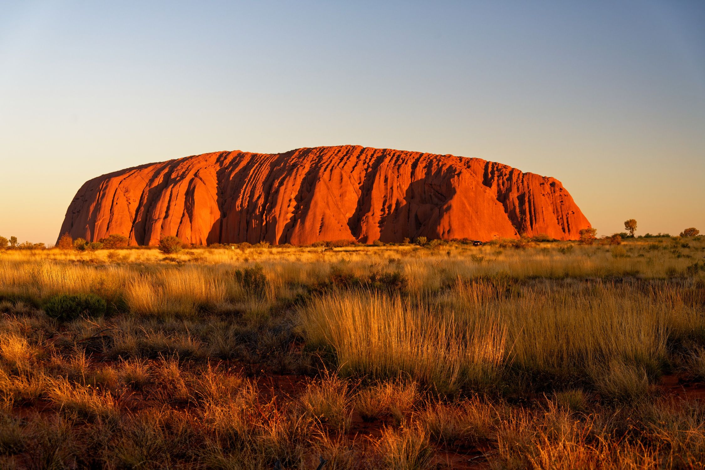Uluru at Sunrise in the Australian Outback · Free Stock Photo