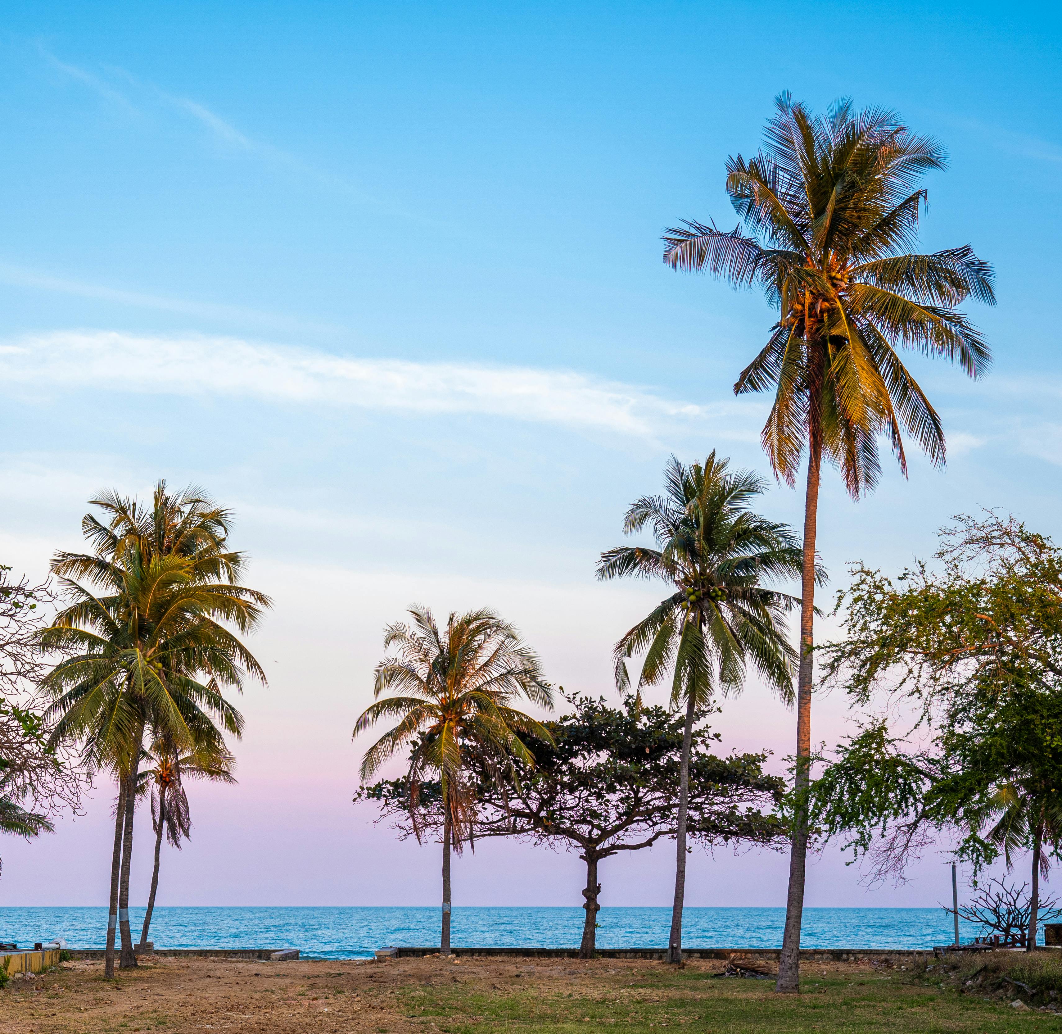 Leonid Danilo 2 Photos & Videos Collected by Ignacio Javier