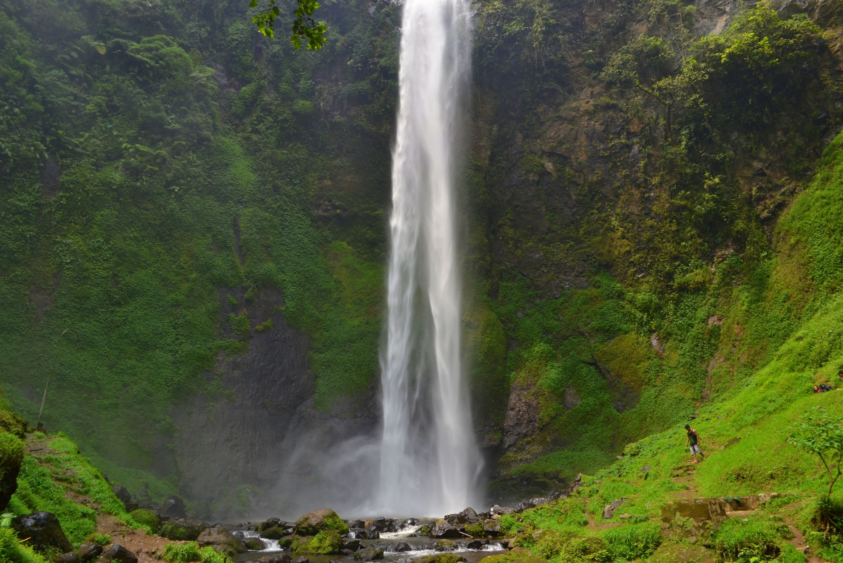 Majestic Waterfall in West Java's Lush Rainforest · Free Stock Photo