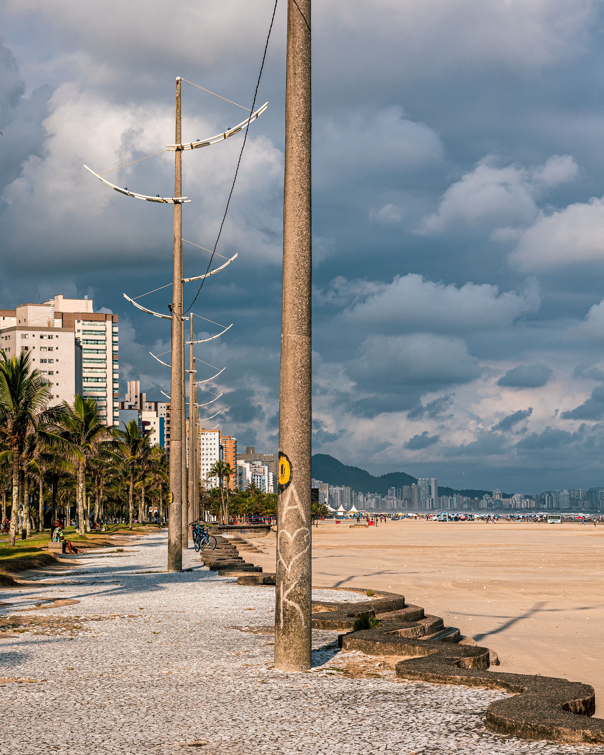 Scenic Beachfront City Skyline with Palm Trees · Free Stock Photo